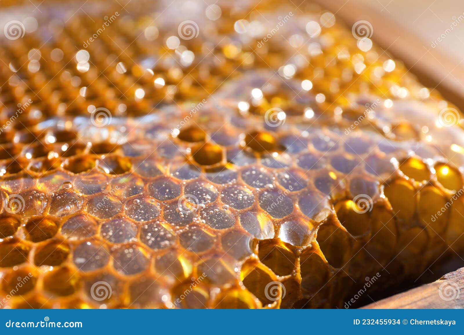 Closeup View of Uncapped Filled Honeycomb Frame Stock Photo - Image of ...