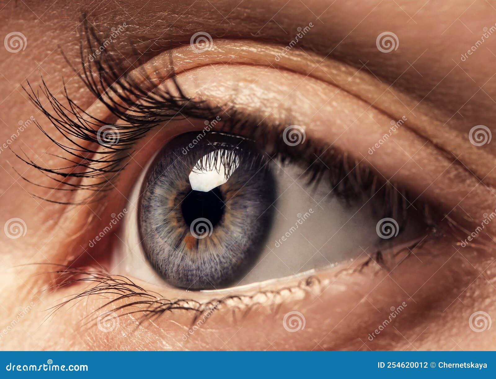Closeup View of Woman with Eye Stock Photo - Image of iris, acuity ...