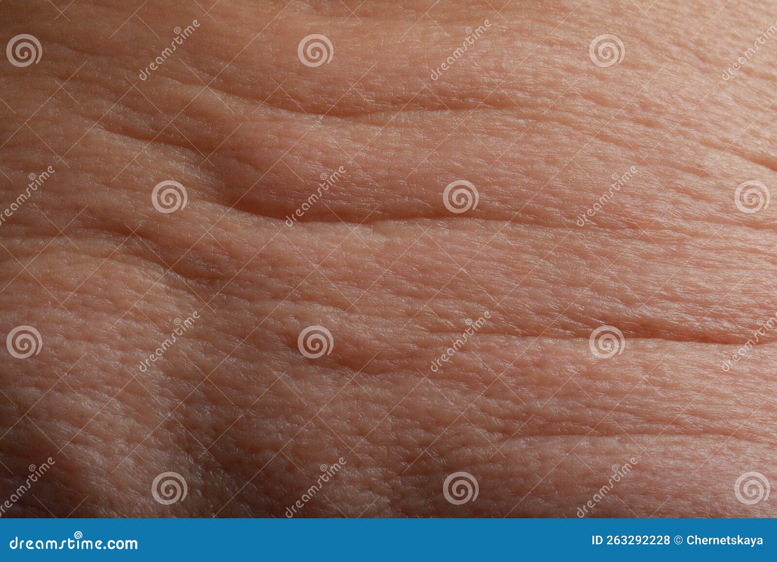 Closeup View of Woman with Normal Skin Stock Photo - Image of texture ...