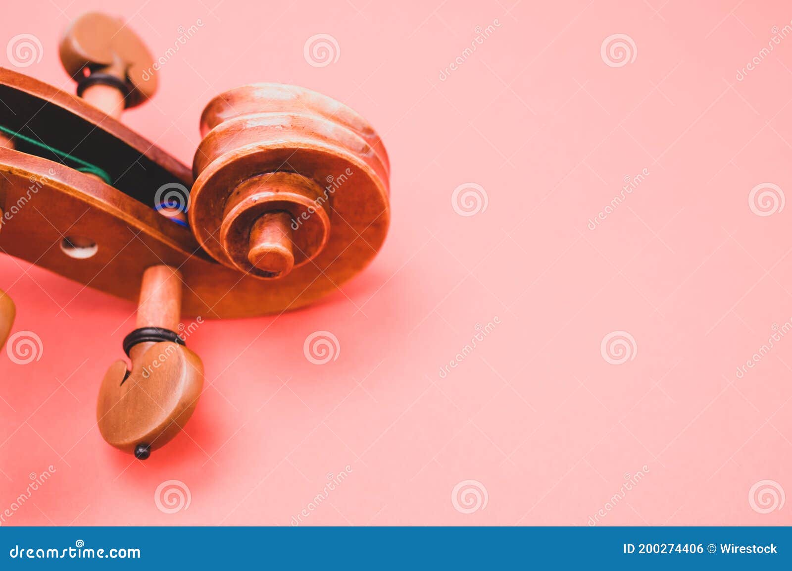 Closeup of a Violin on a Pink Background Stock Photo - Image of ...