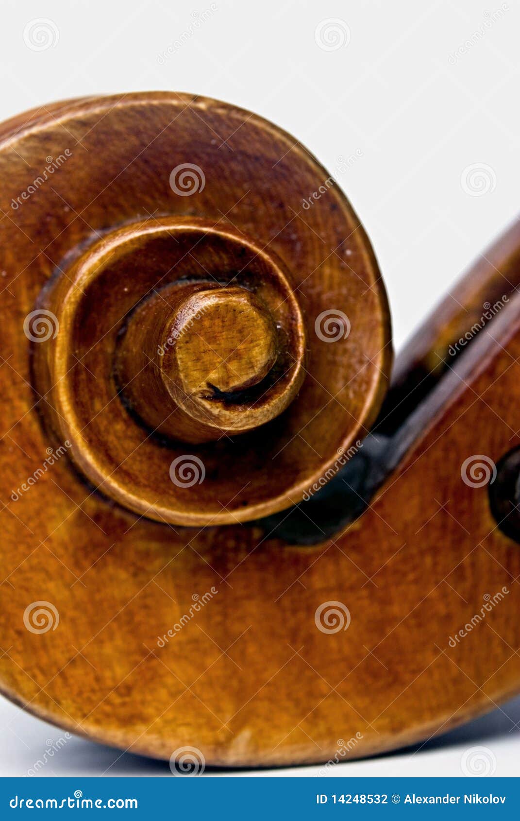 Closeup of a violin scroll stock photo. Image of close - 14248532