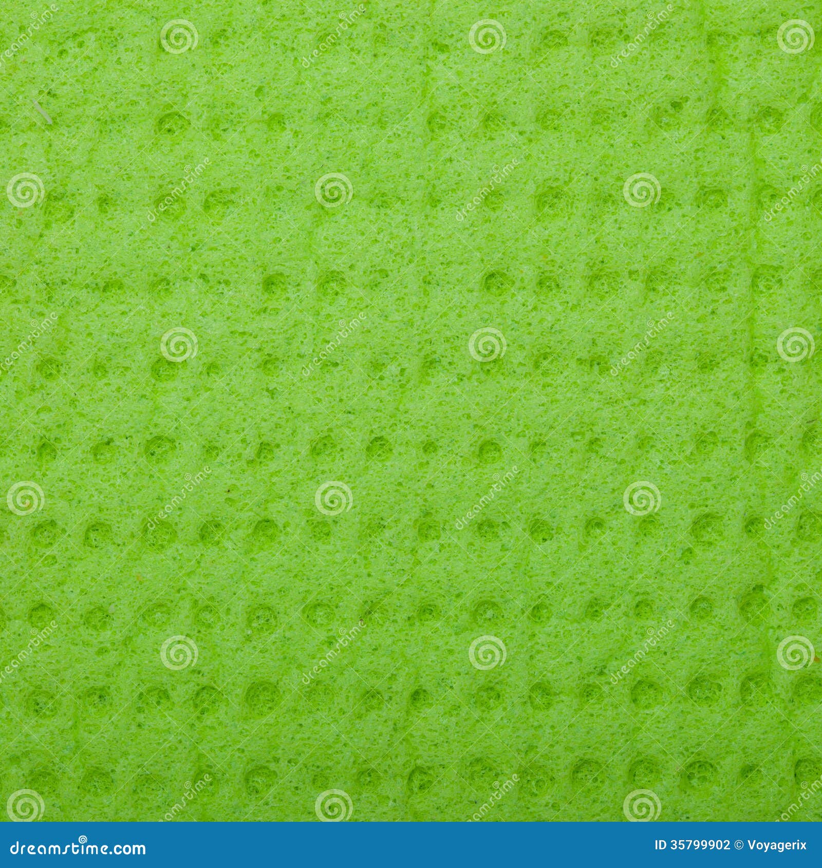 Closeup Vivid Green Sponge Background Texture Pattern Stock Photo ...