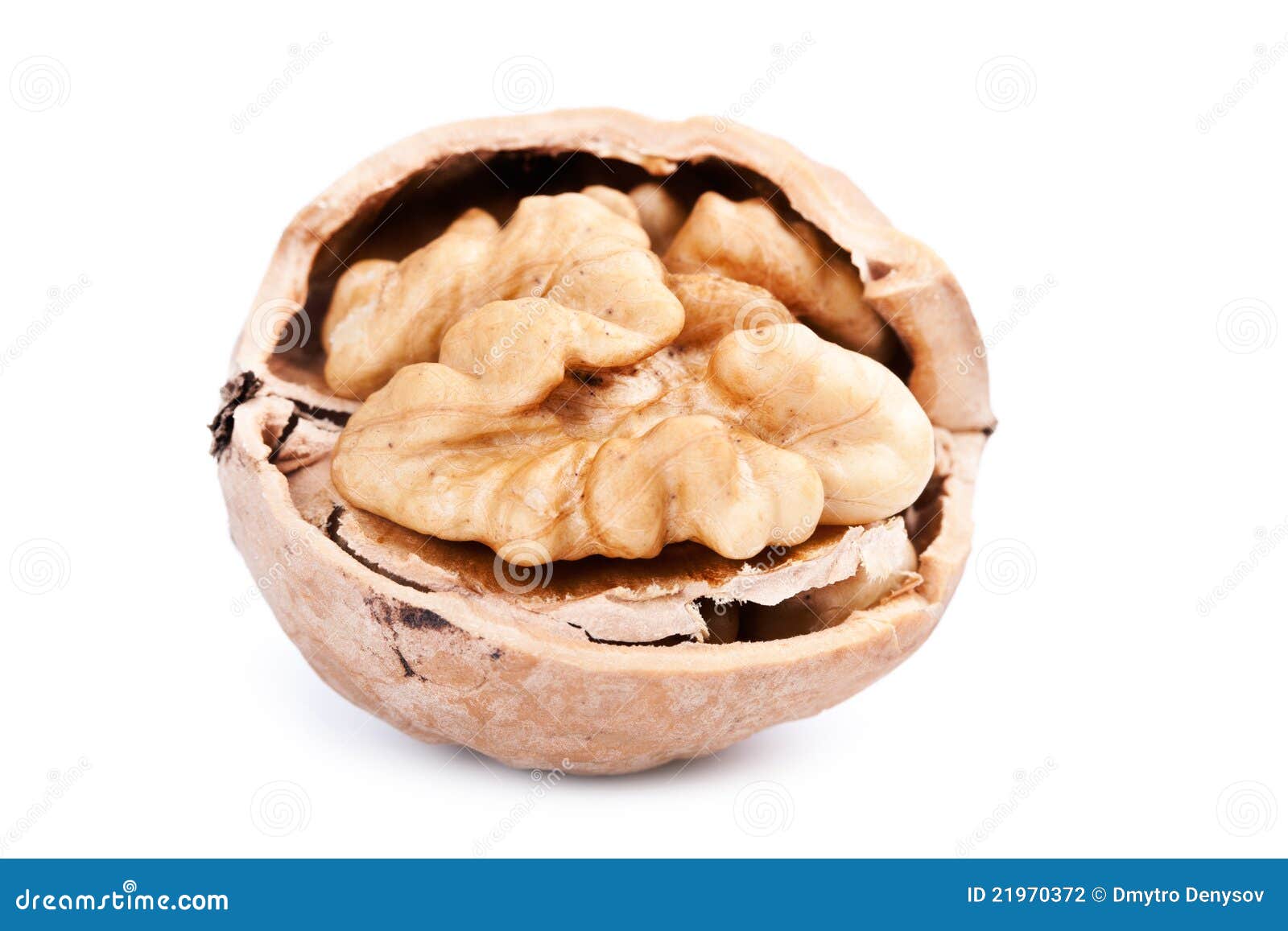 Closeup of a walnut stock photo. Image of walnut, crust - 21970372