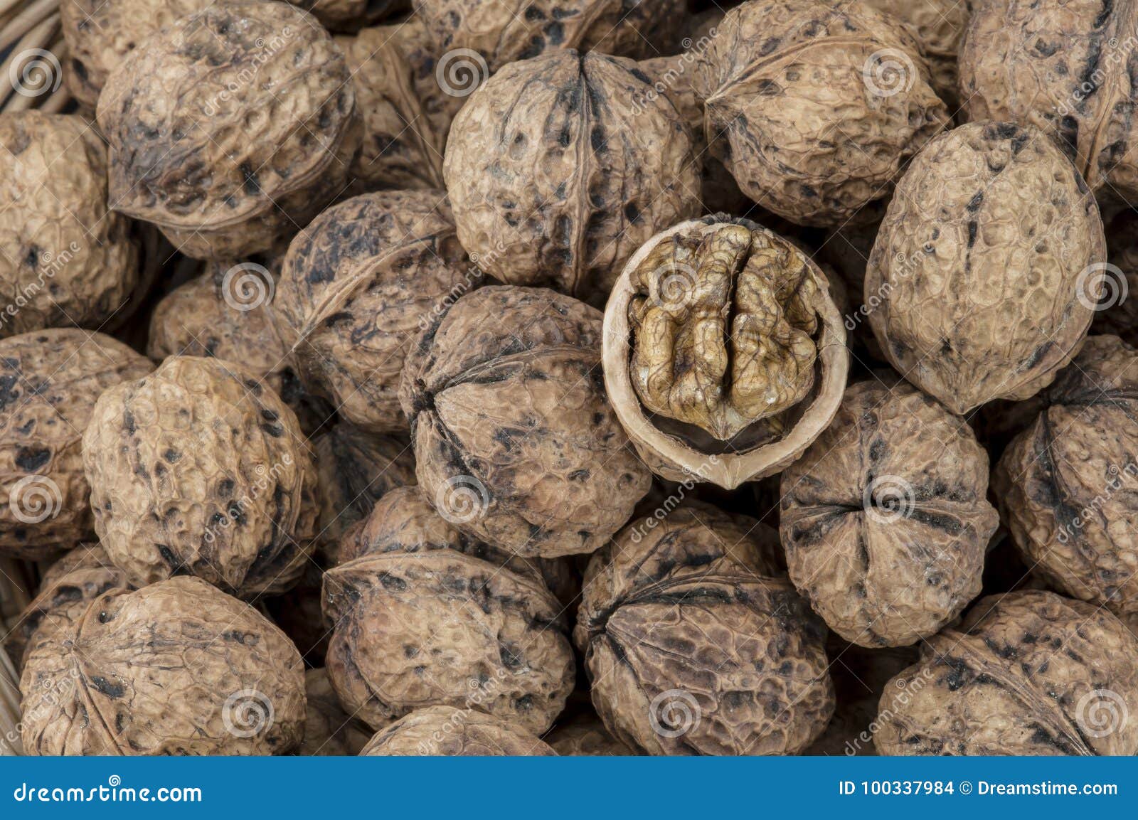 Closeup walnut stock photo. Image of organic, white - 100337984