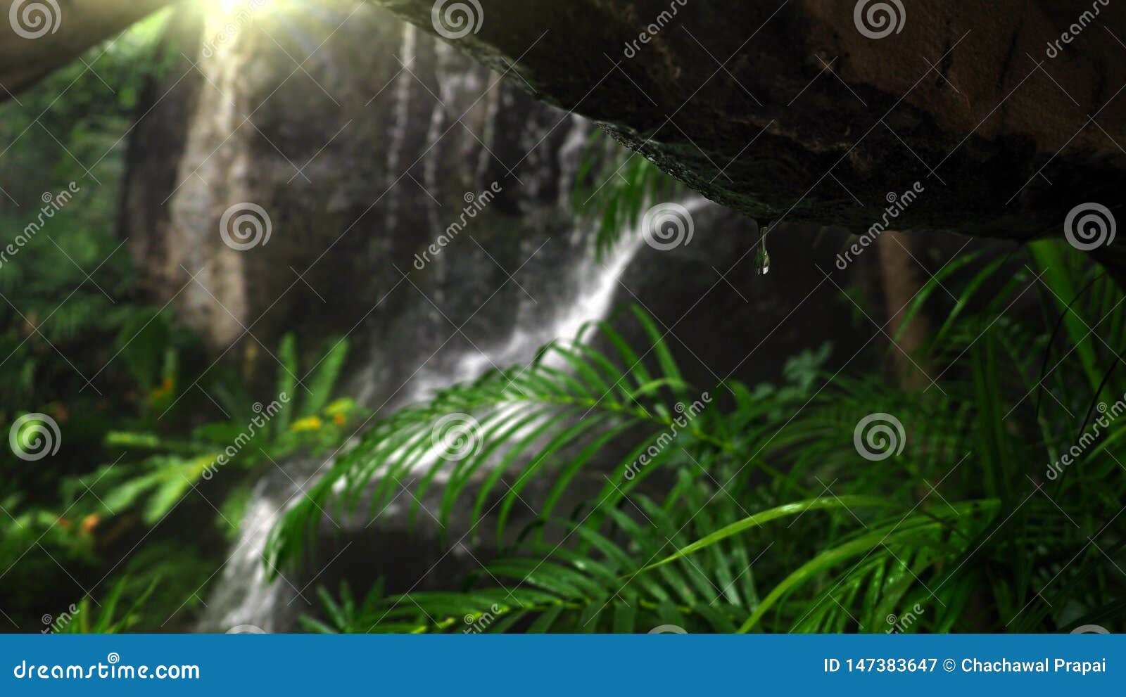 Closeup of Water Drops Underneath the Cave with Blur Background of ...
