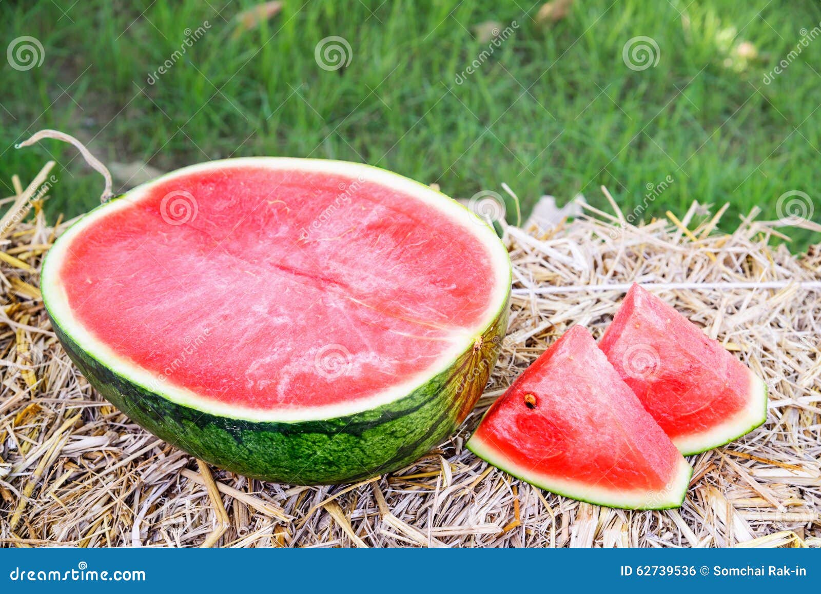 Closeup of Watermelon on Yellow Straw Stock Photo - Image of eating ...