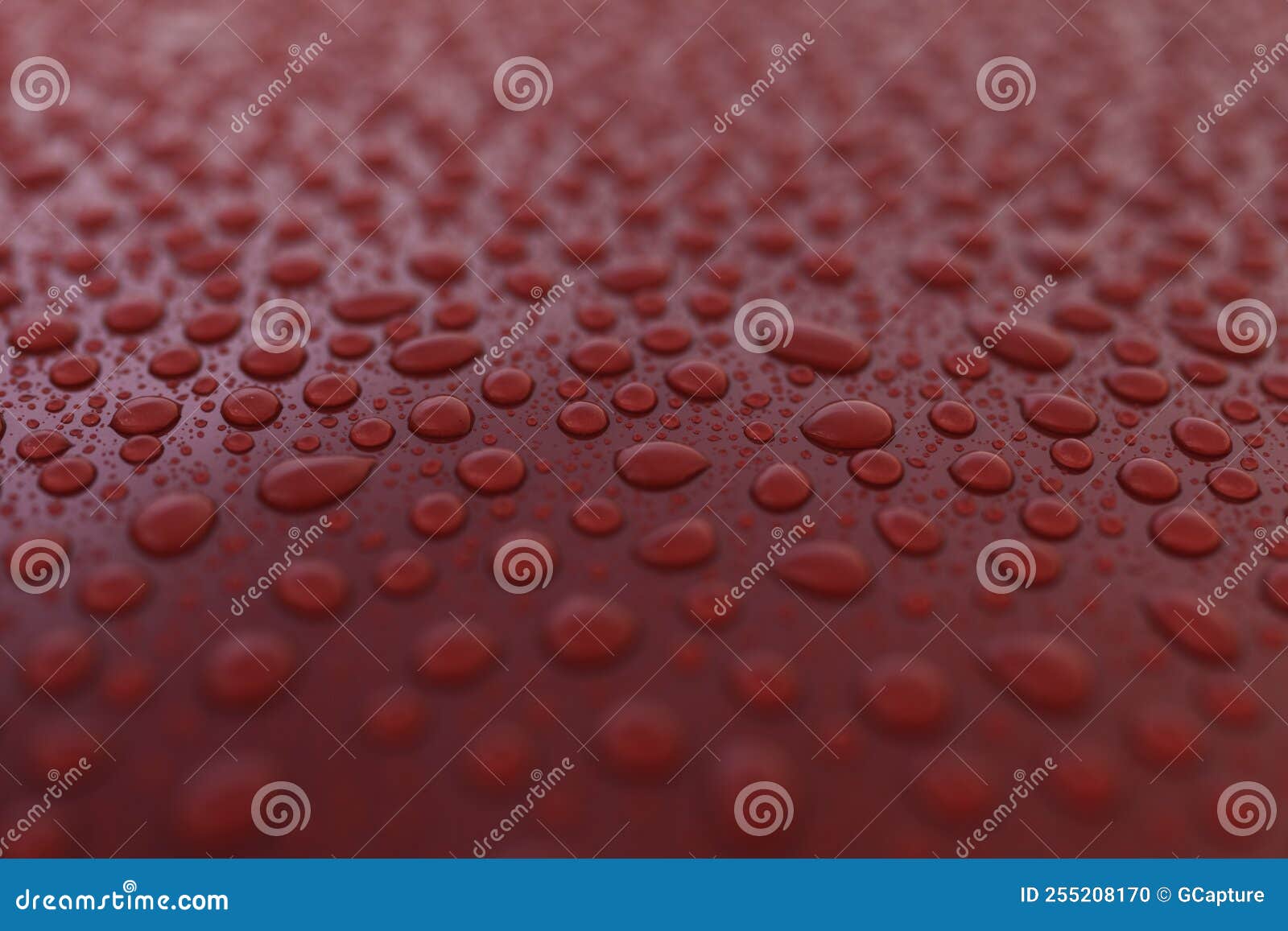Closeup Wet Red Car Paint Surface with Hydrophobic Ceramic Coating ...