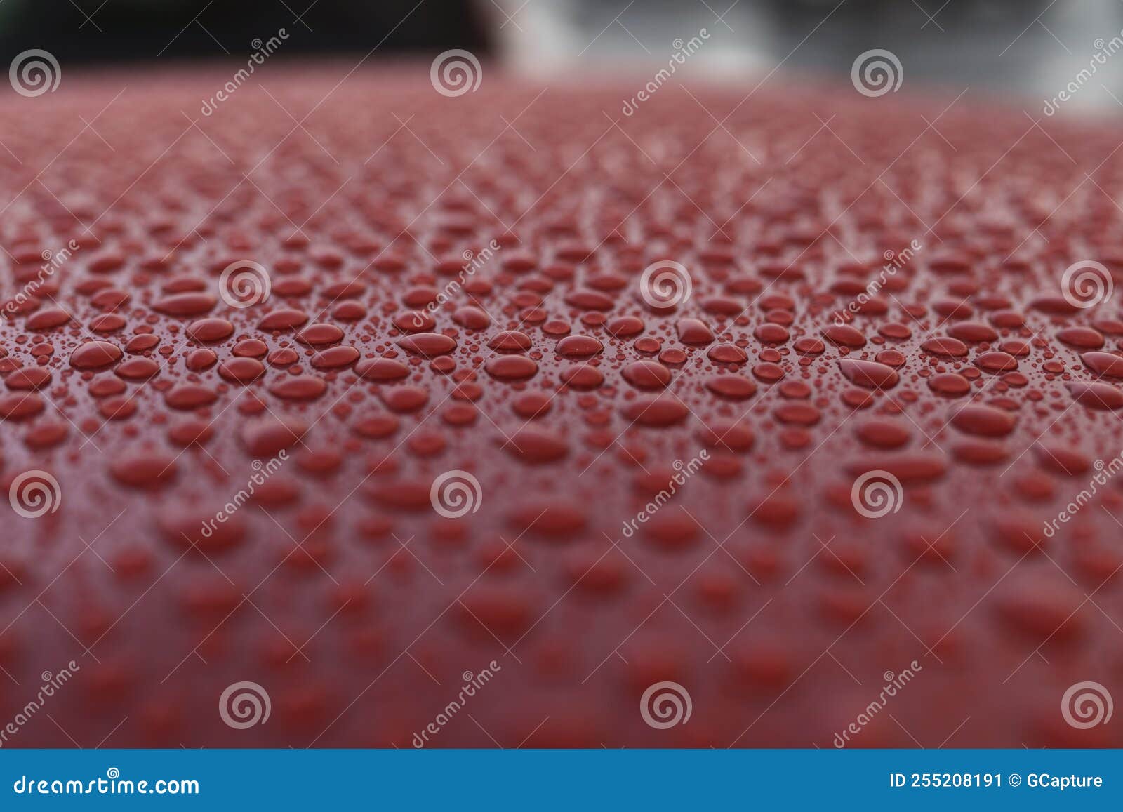 Closeup Wet Red Car Paint Surface with Hydrophobic Ceramic Coating ...