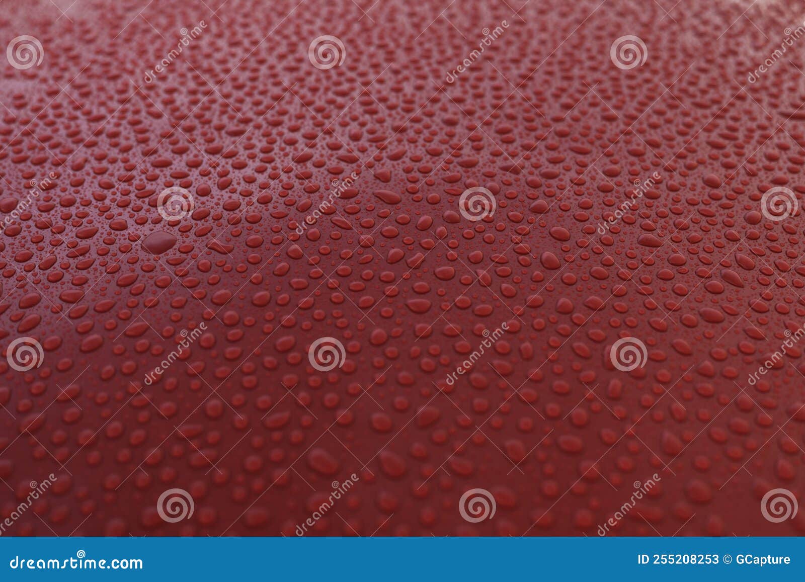 Closeup Wet Red Car Paint Surface with Hydrophobic Ceramic Coating ...