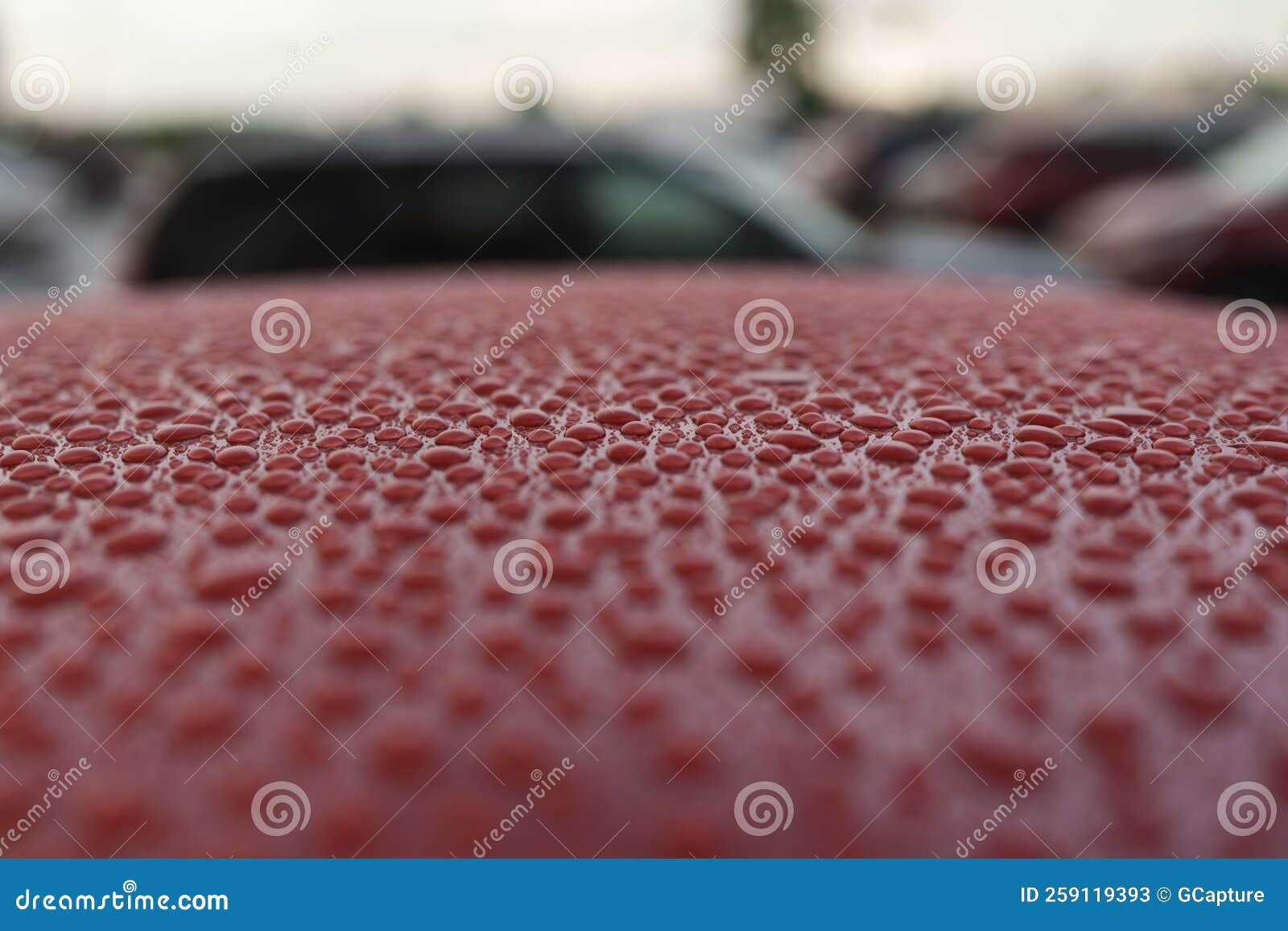 Closeup Wet Red Car Paint Surface with Hydrophobic Ceramic Coating ...