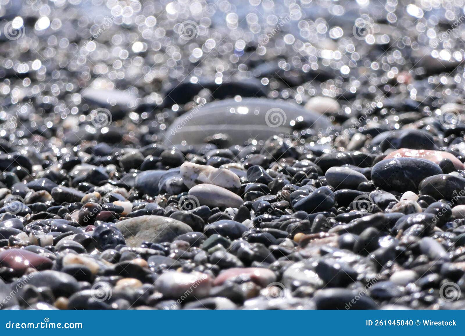 Closeup of Wet Rocks in Beach Stock Photo - Image of grunge, nature ...