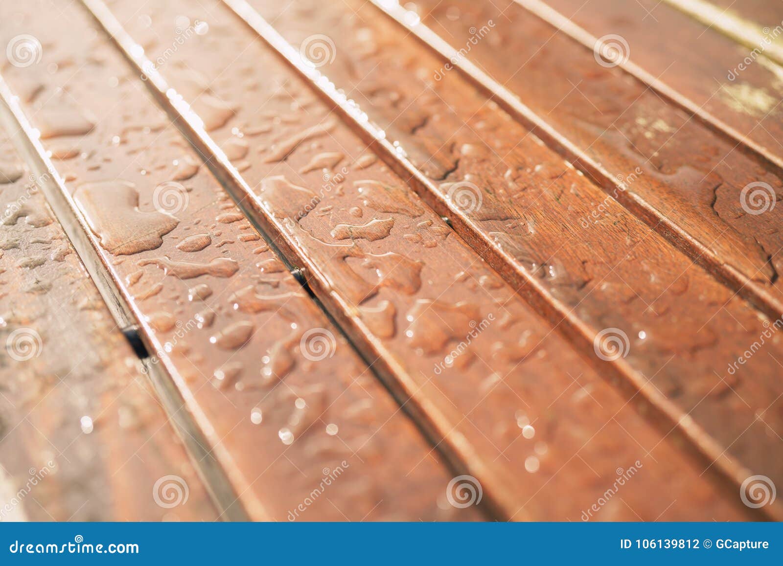 Closeup Wet Wood Bench after Rain Stock Photo - Image of brown, surface ...