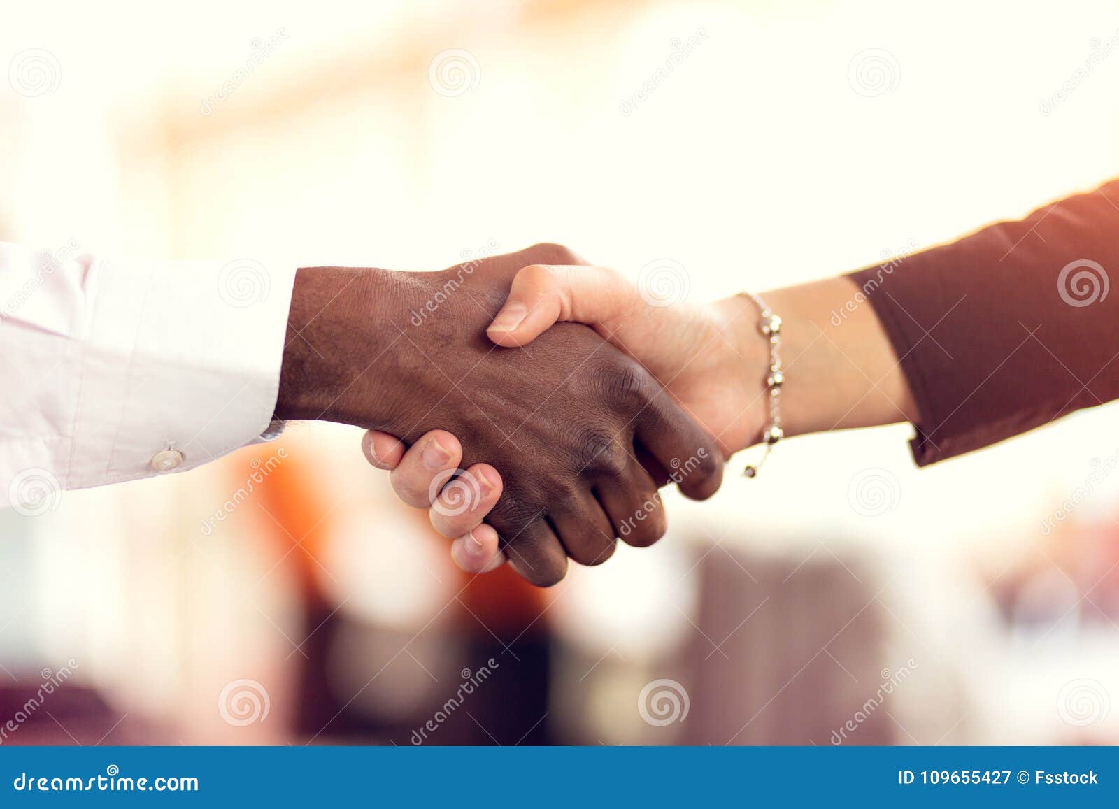 Closeup of White and Black Shaking Hands Over a Deal Stock Image ...