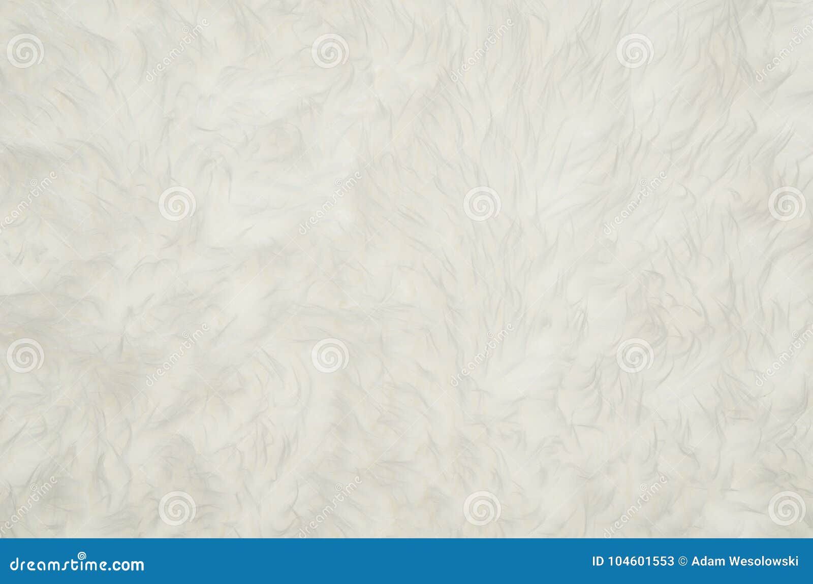 Closeup of White Fluffy Fur Texture or Pattern Background Stock Image ...