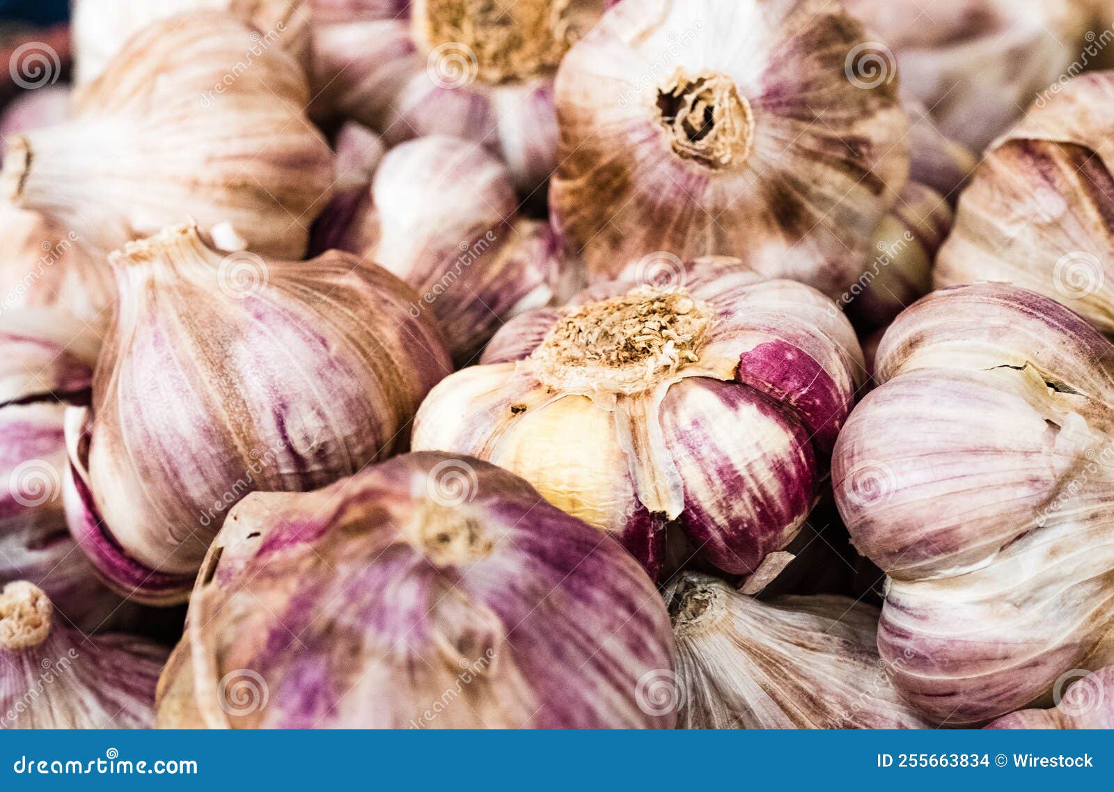Closeup of Whole Unpeeled Garlic Bulbs Stock Photo - Image of closeup ...