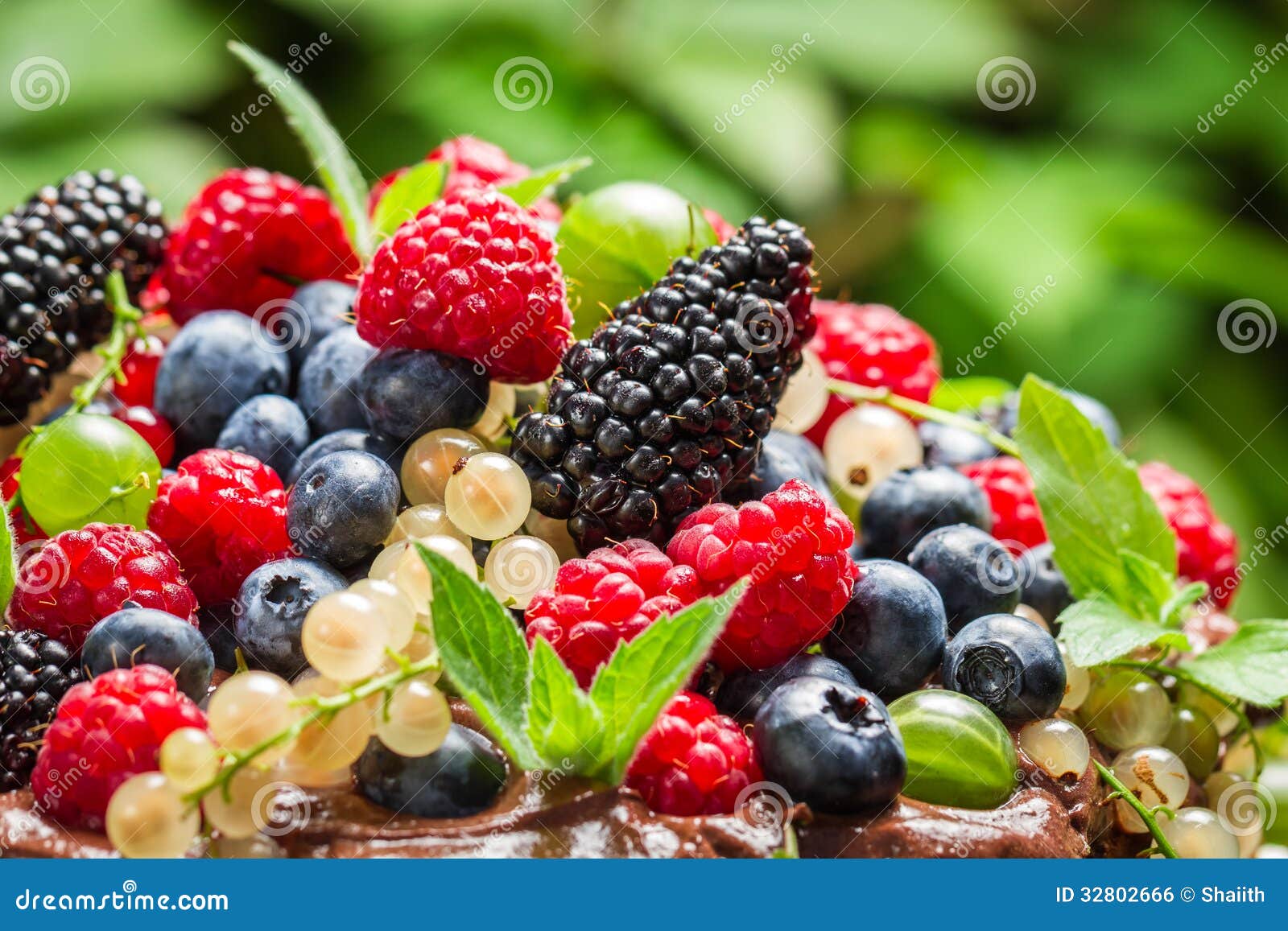 Closeup of Wild Fresh Berry Fruits Stock Photo - Image of green, drink ...