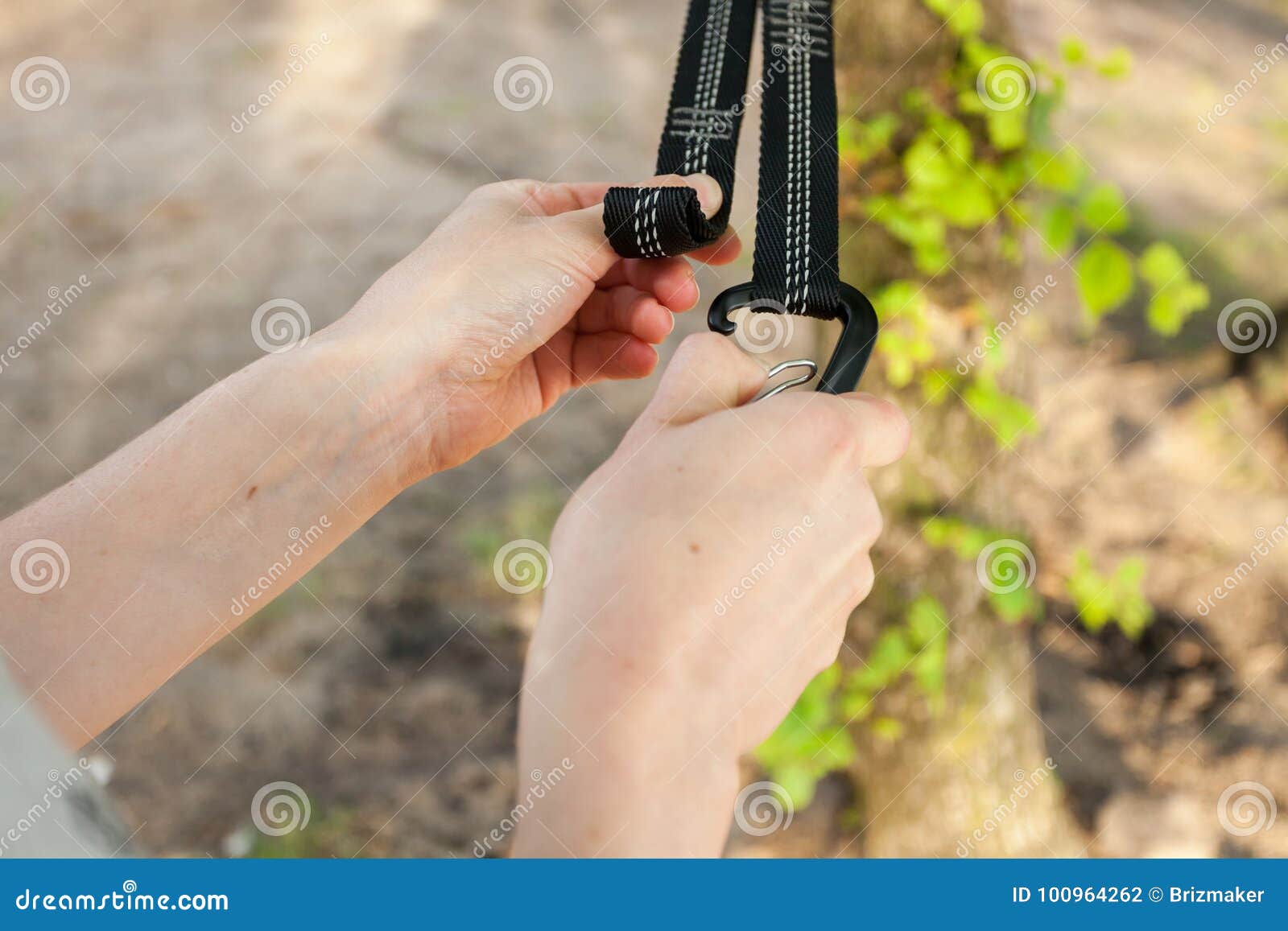 Closeup of Woman Hands Attach the Hammock Straps on the Tree. Stock ...