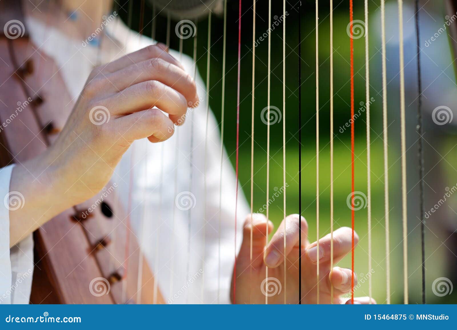 Closeup of a Woman Playing a Harp Stock Image - Image of play, black ...