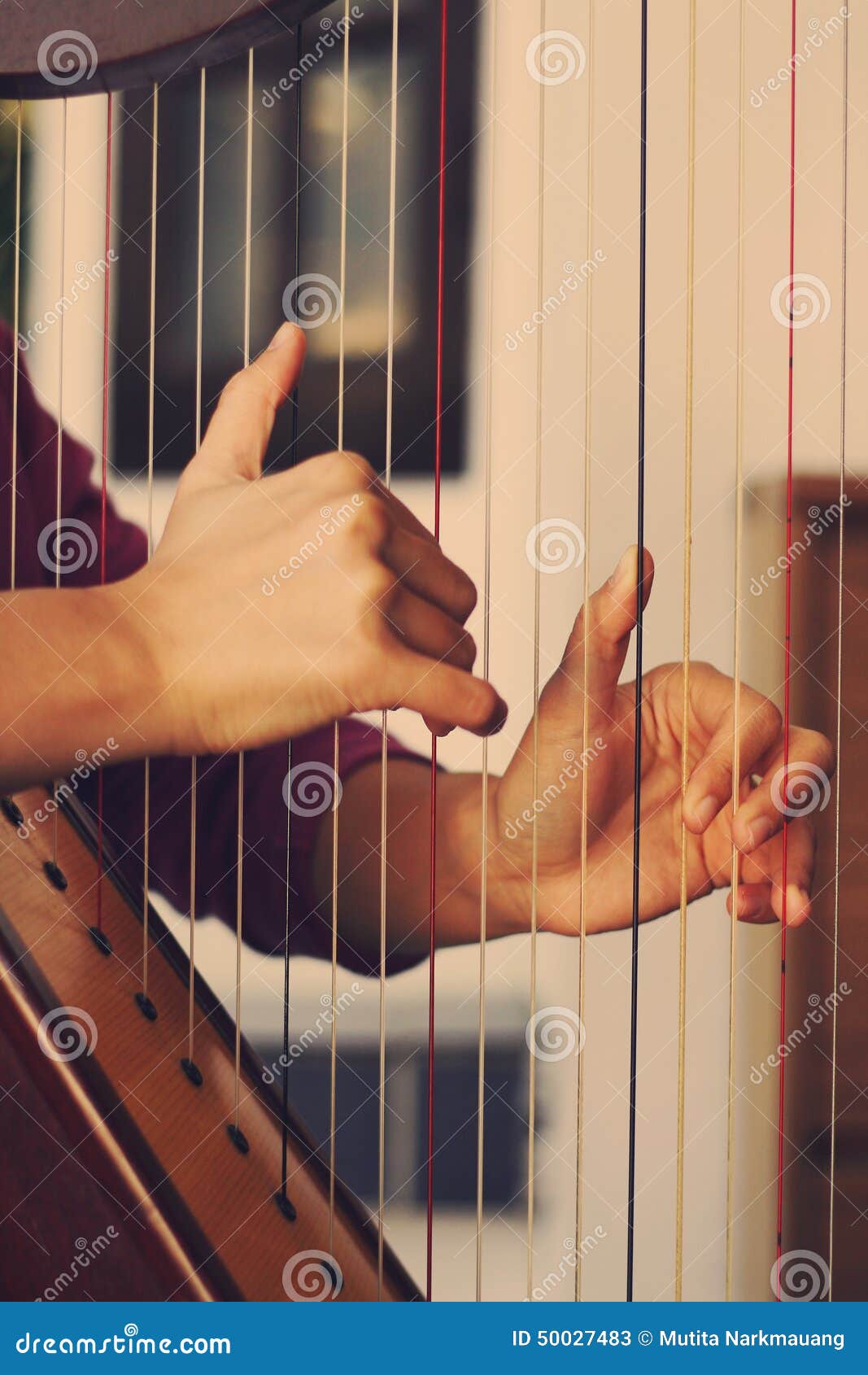Closeup of a Woman Playing the Harp Stock Image - Image of instrument ...