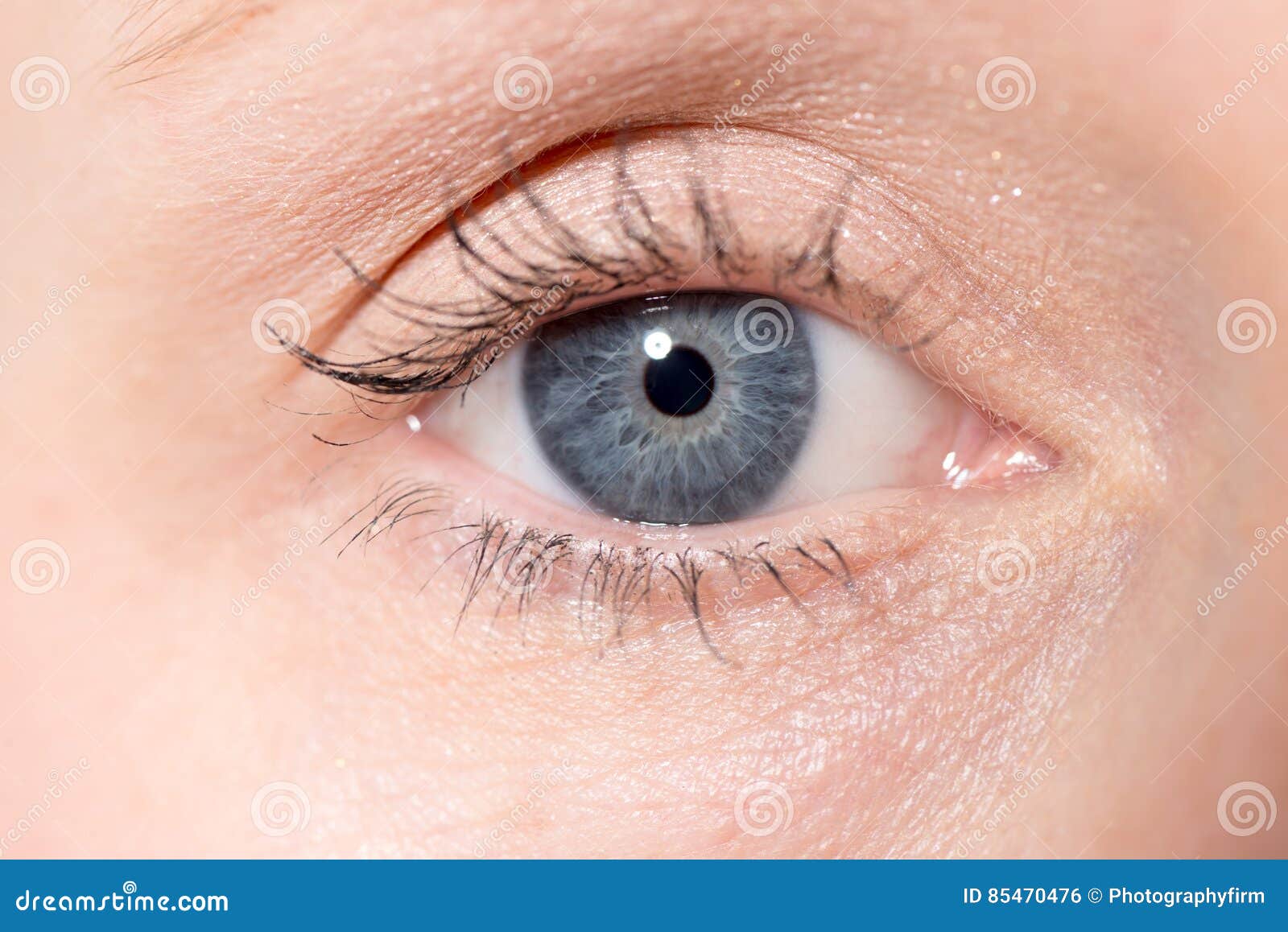 Closeup of a Woman`s Eye stock photo. Image of eyesight - 85470476