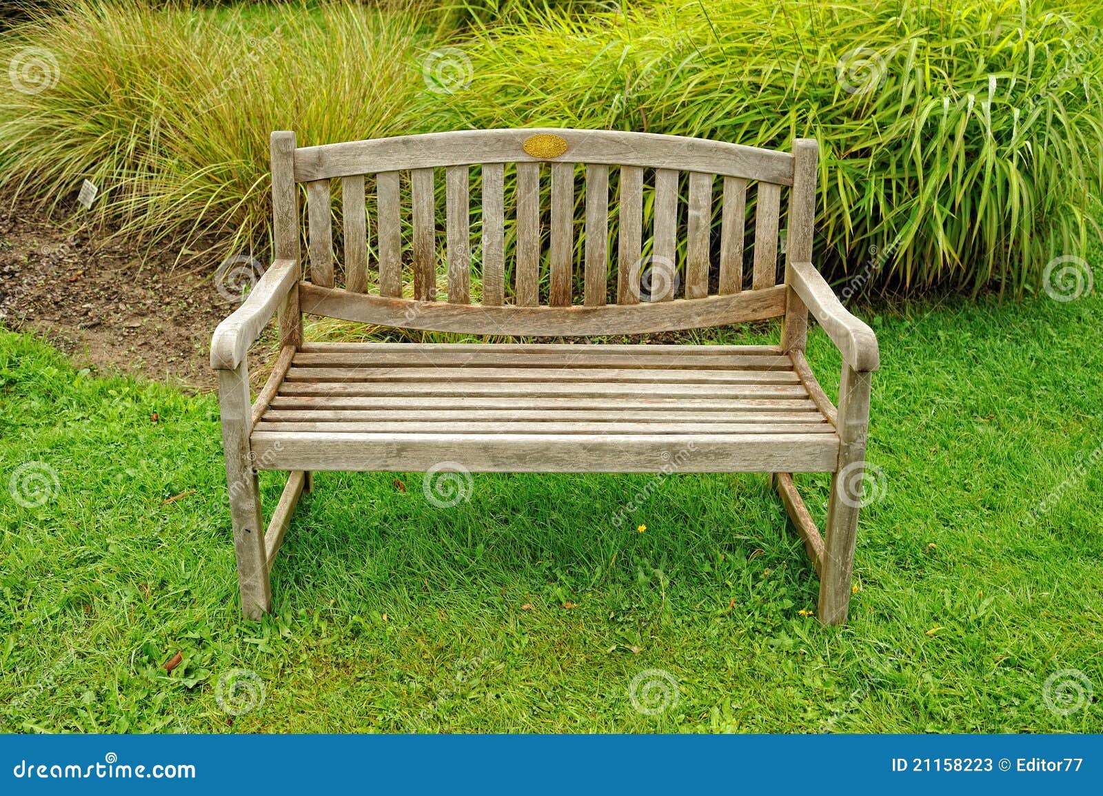 Bench on the grass stock image. Image of shady, outdoor - 21158223