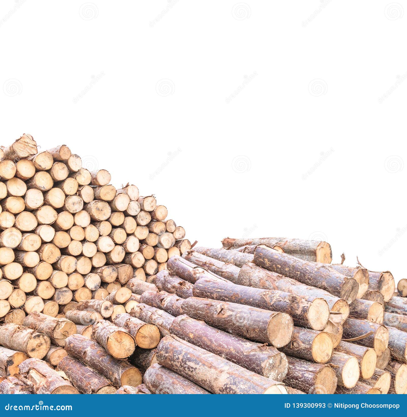 Closeup Wood Pattern at the Pile of Old Wood Timber Isolated on White ...
