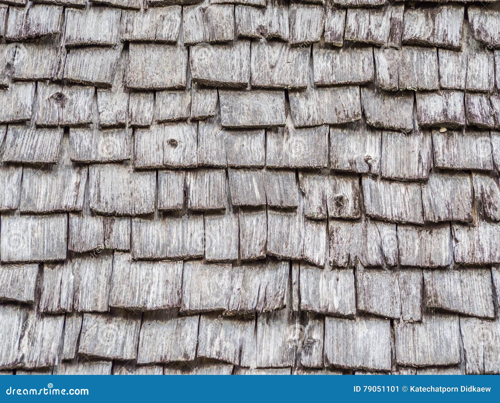 Closeup of Wooden Grids Roof Pattern Stock Image - Image of wooden ...