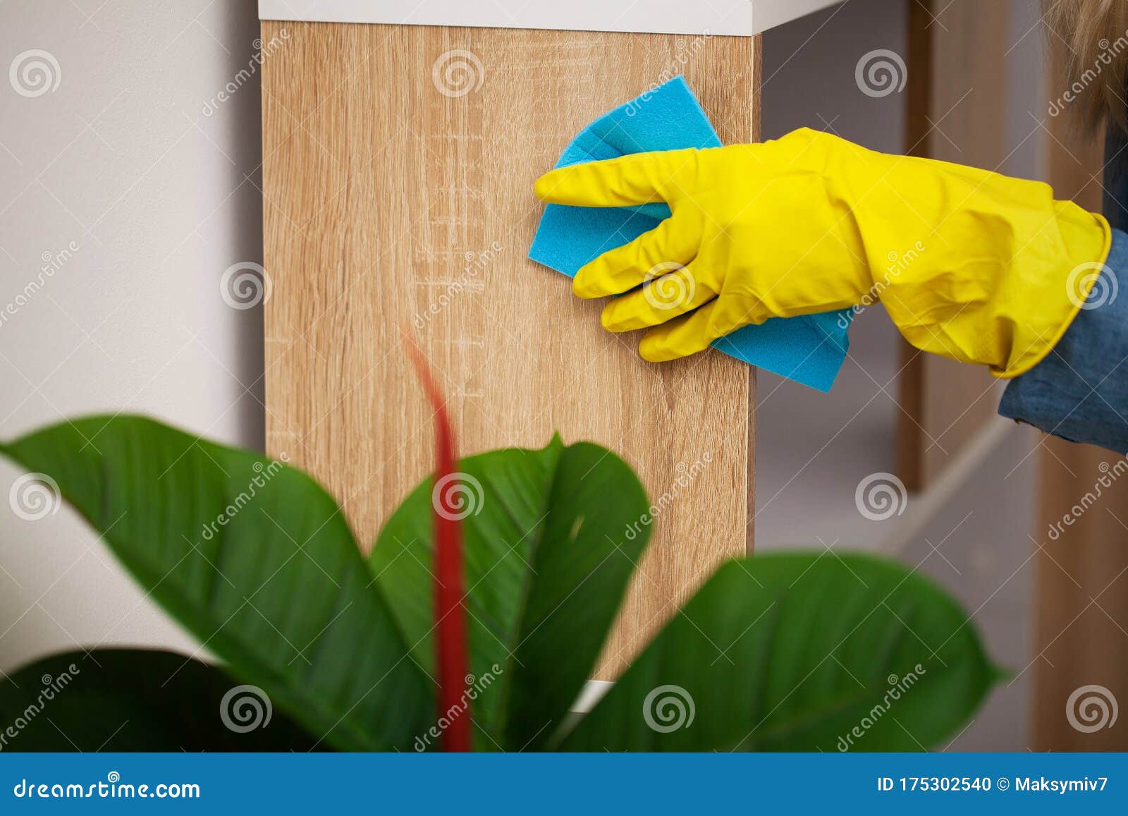 Closeup of Worker Hand Wiping Dust in Office Stock Photo - Image of ...