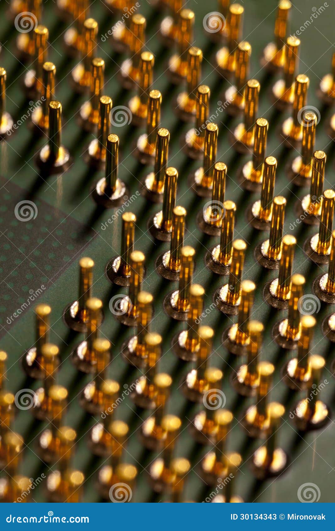 Computer processor pins stock image. Image of computer - 30134343