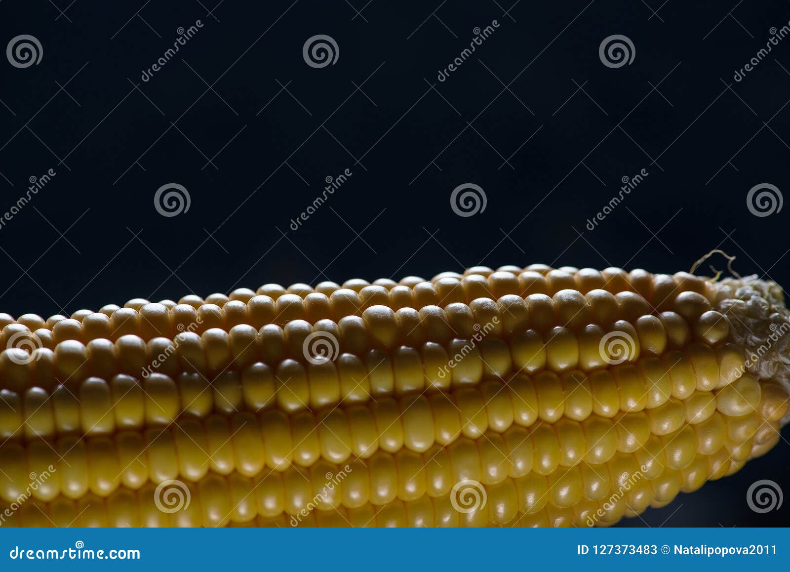 Closeup of Yellow Corn Kernels, Set in Neat Rows Stock Image - Image of ...