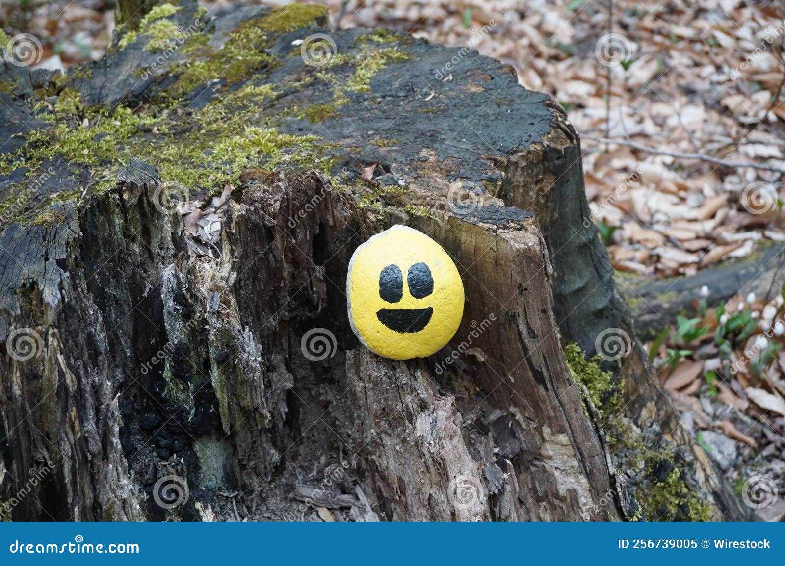 Closeup of a Yellow Smiley Face Painted on a Stone Placed on a Tree ...