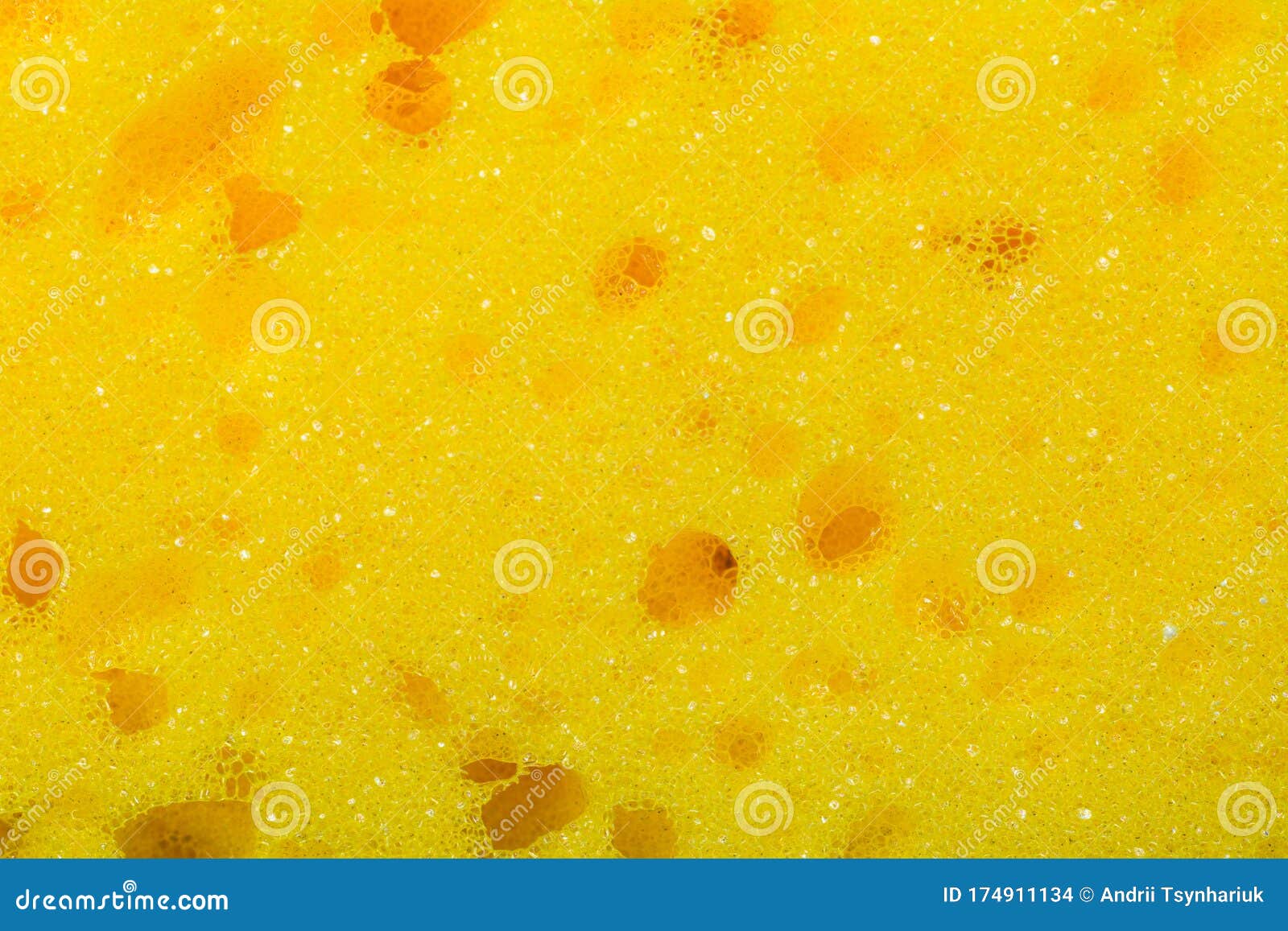 Closeup Yellow Sponge, Close-up Photography, Yellow Texture Stock Photo ...