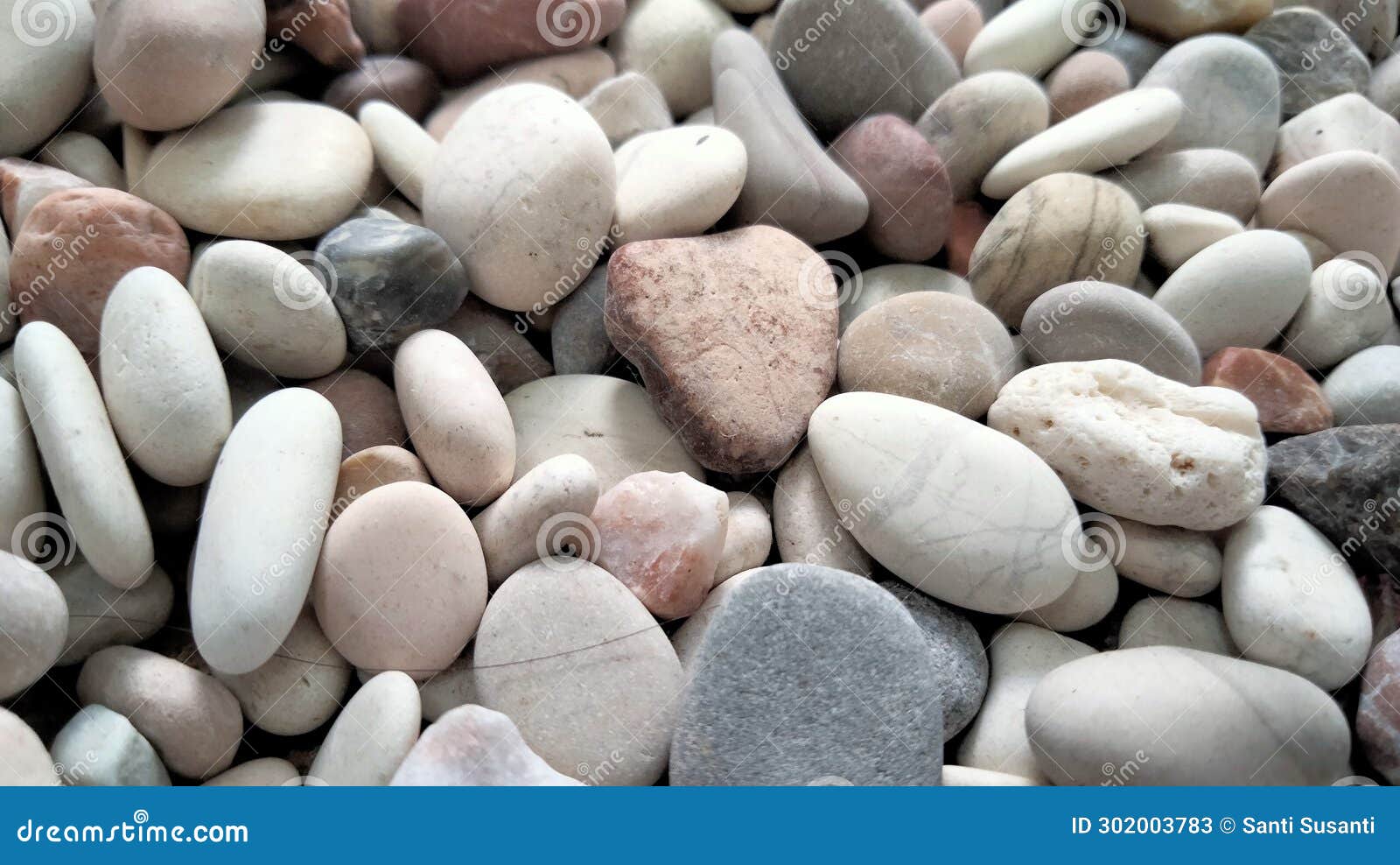 Closeupbackground of a Collection of Pebbles Arranged in Texture Stock ...