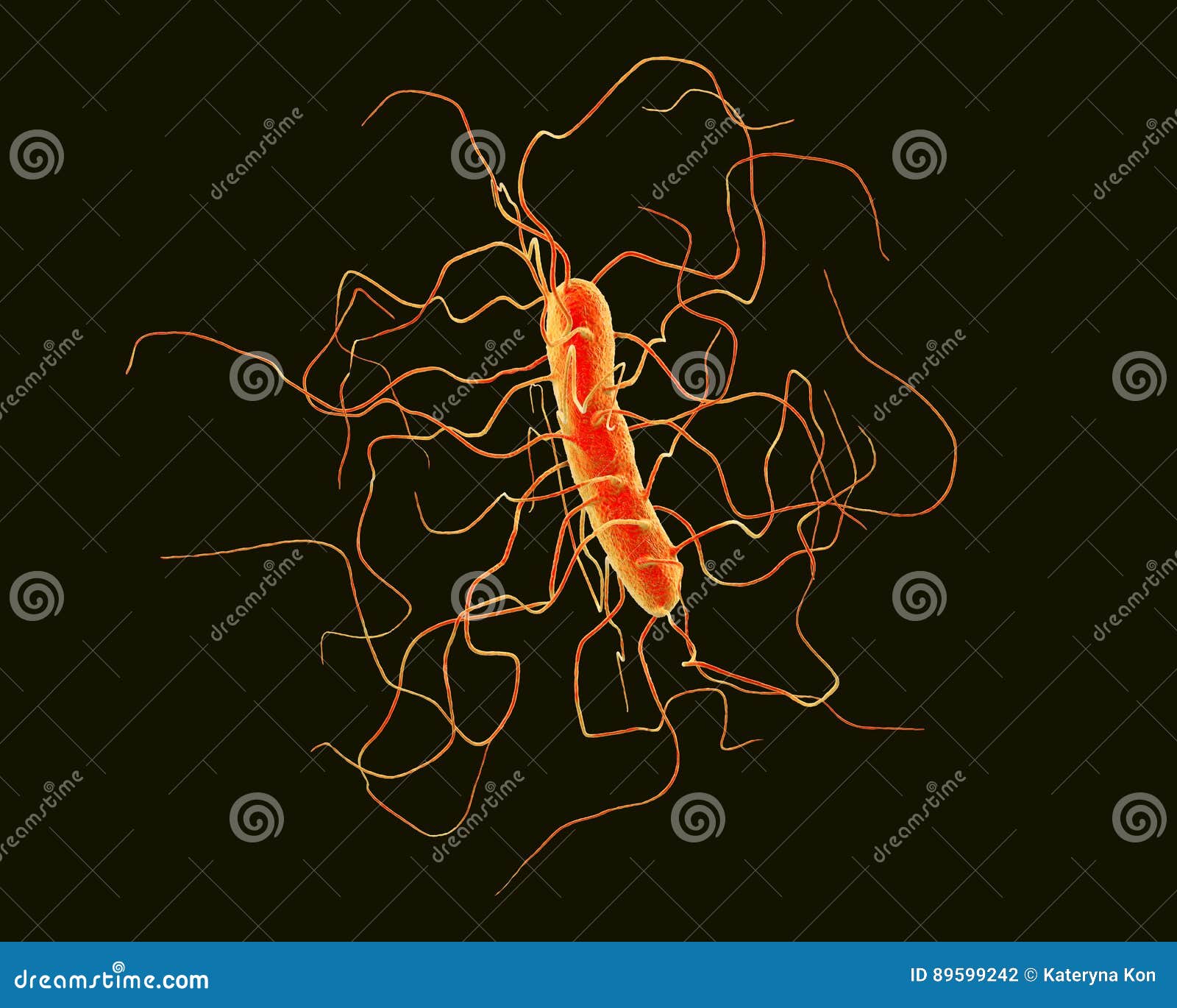 Clostridium Difficile Bacteria, 360 Degree Spherical Panorama View ...