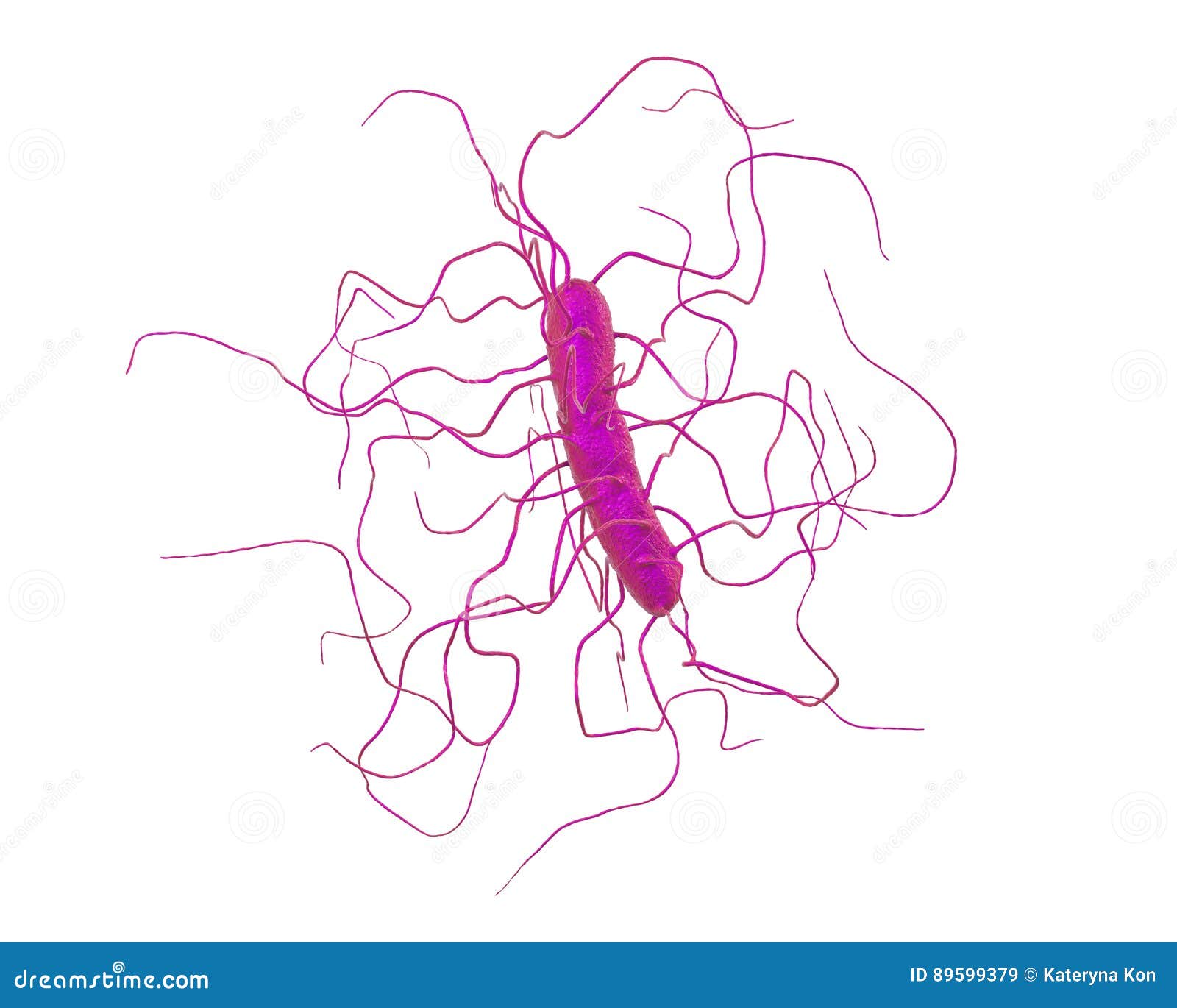 Clostridium Difficile Bacteria Royalty-Free Cartoon | CartoonDealer.com ...