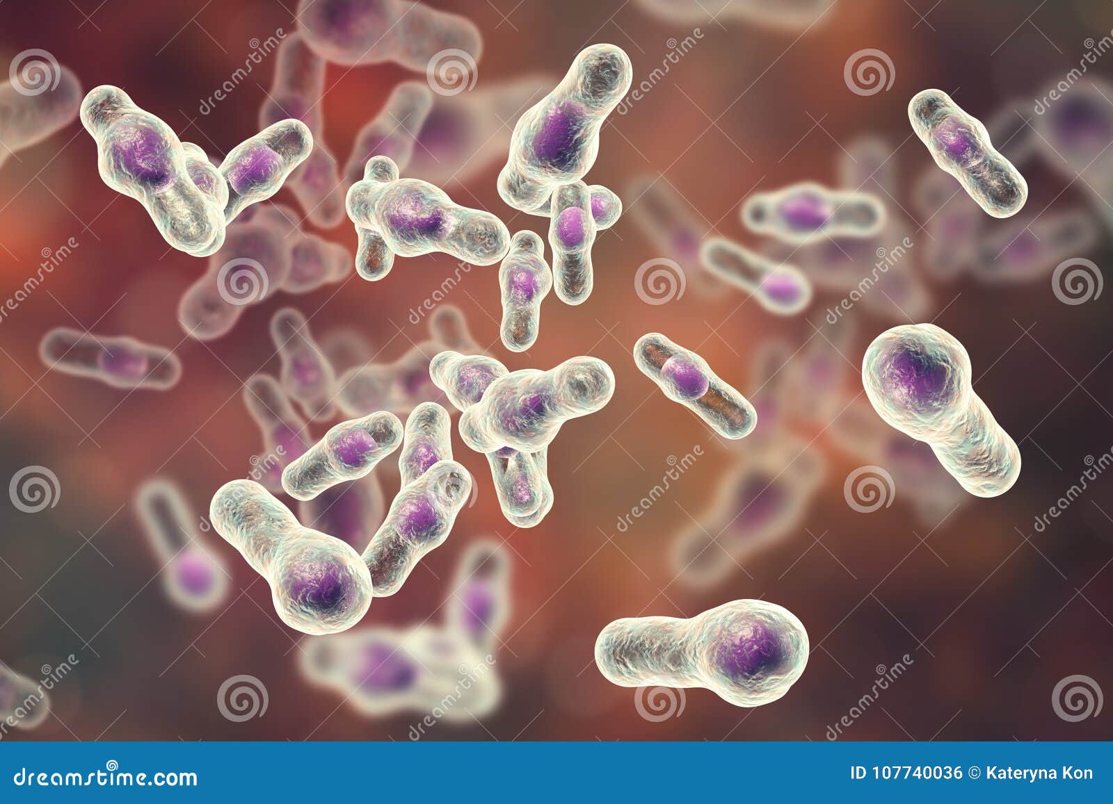 Clostridium Difficile Bacteria Stock Illustration - Illustration of ...