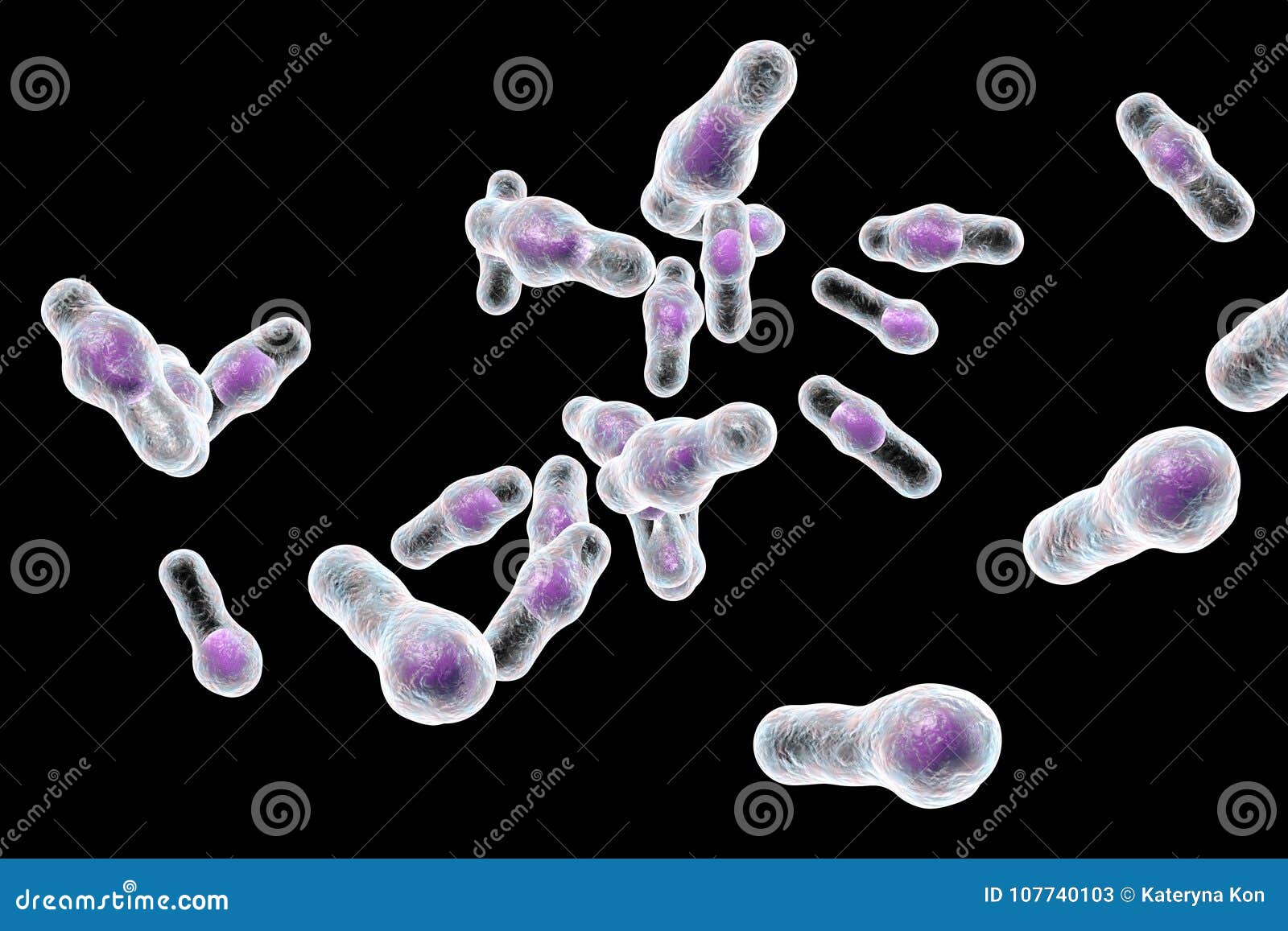 Clostridium Difficile Bacteria Stock Illustration - Illustration of ...