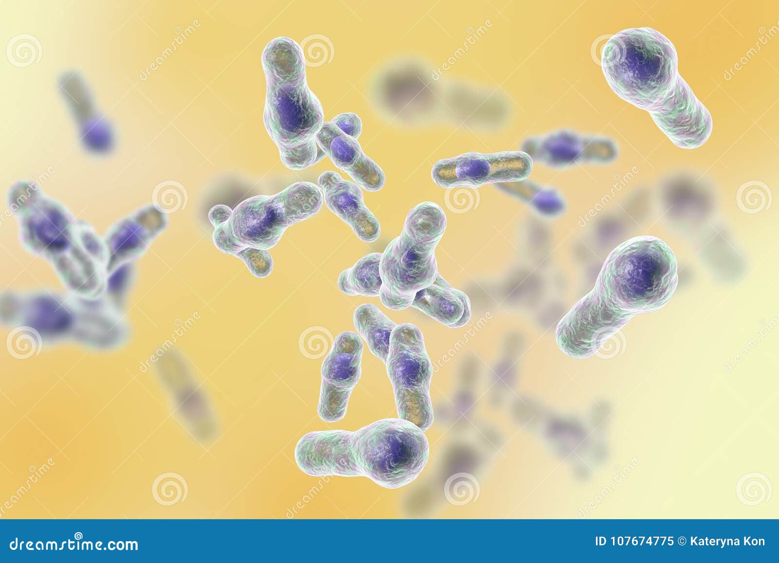 Clostridium Difficile Bacteria Stock Illustration - Illustration of ...
