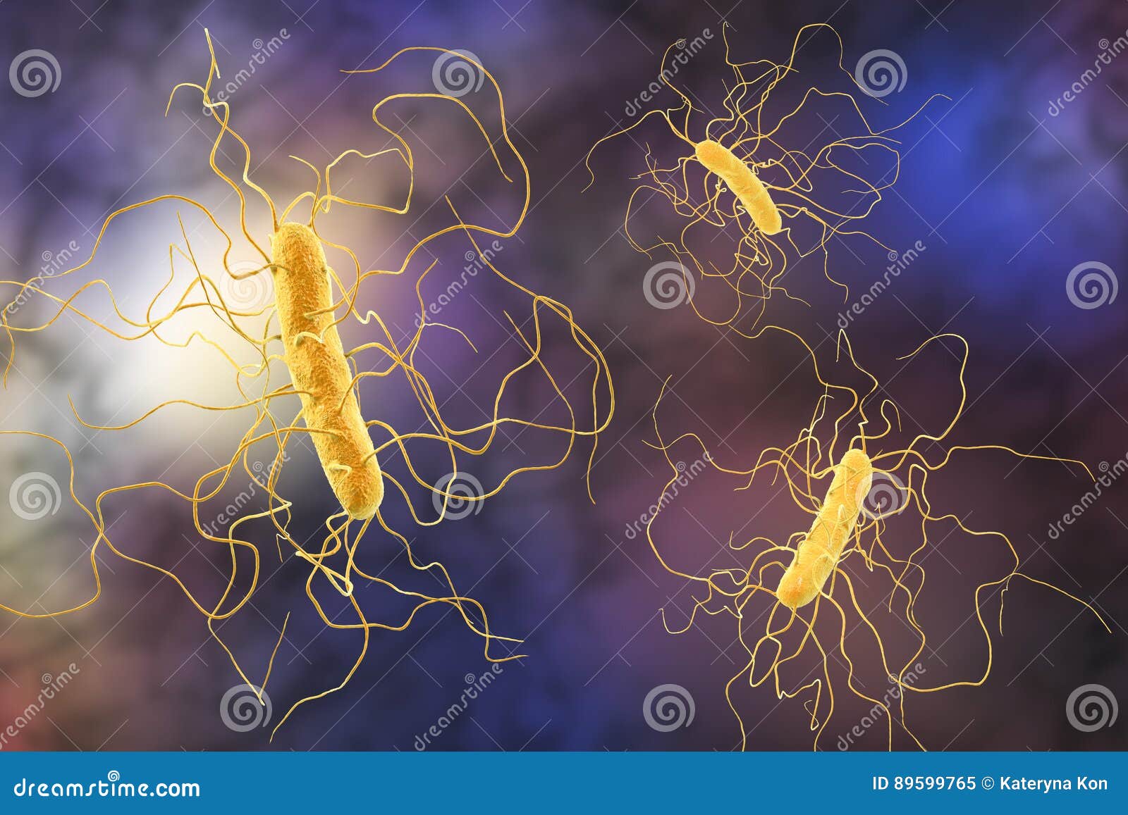 Clostridium Difficile Bacteria Stock Illustration - Illustration of ...