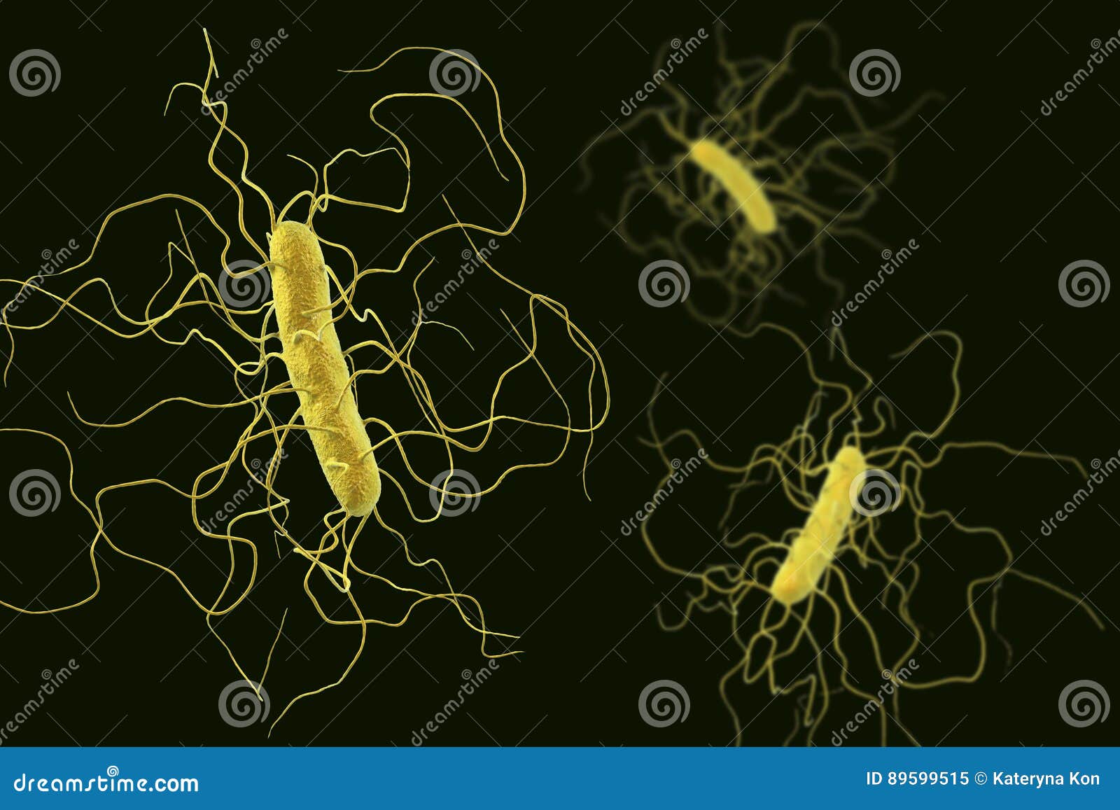 Clostridium Difficile Bacteria, 360 Degree Spherical Panorama View ...