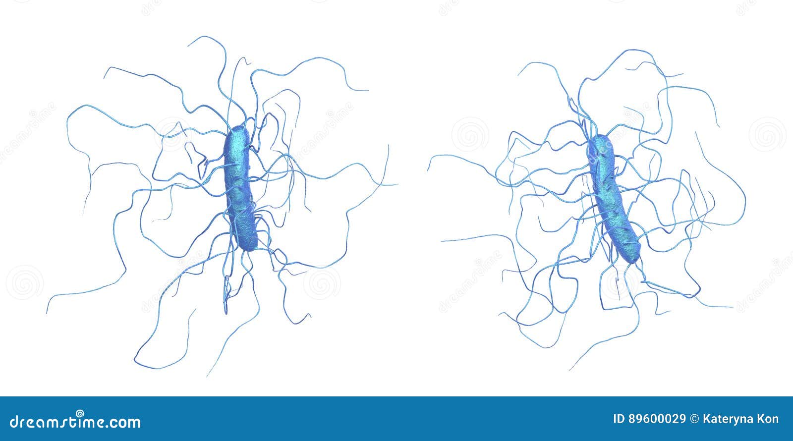 Clostridium Difficile Bacteria Royalty-Free Cartoon | CartoonDealer.com ...