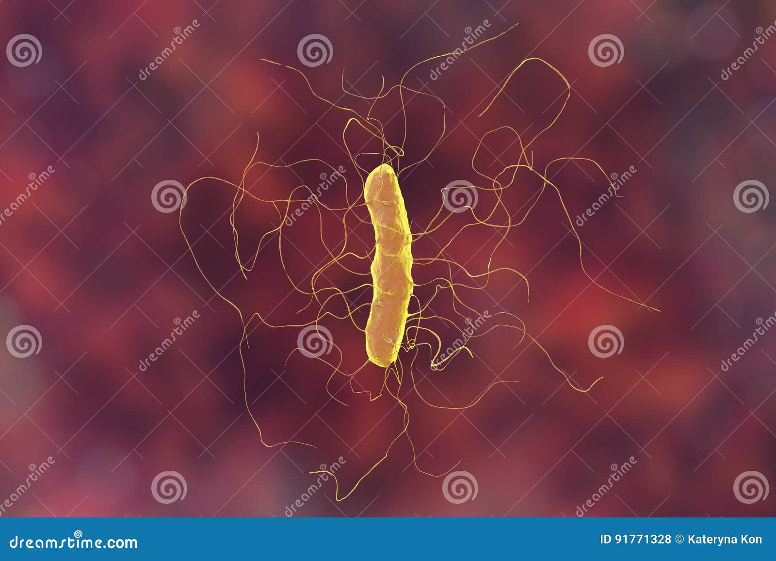 Clostridium Difficile Bacterium Stock Illustration - Illustration of ...