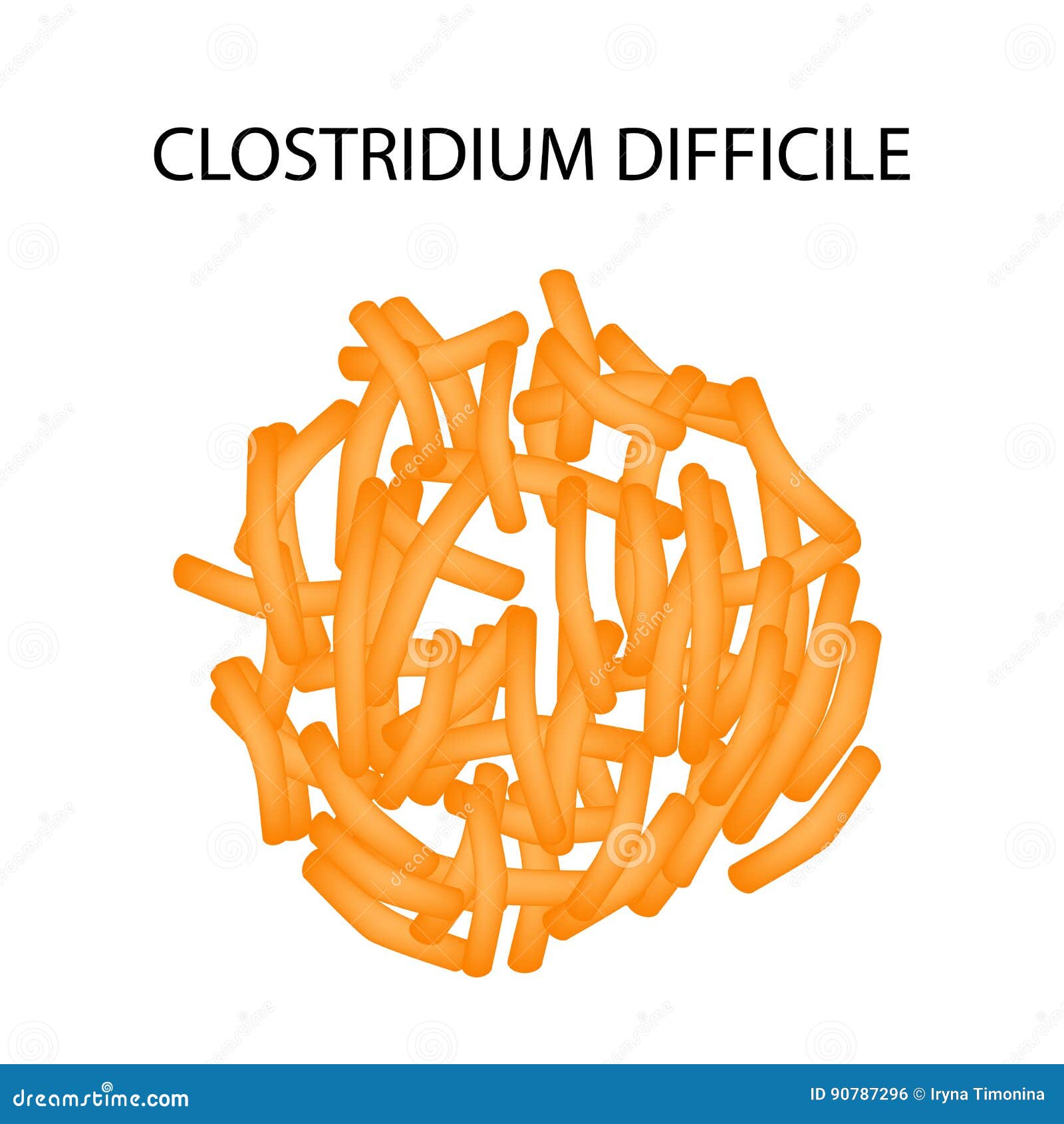 Pathogenic Flora. Clostridium Difficile, Campylobacter, Enterococcus ...