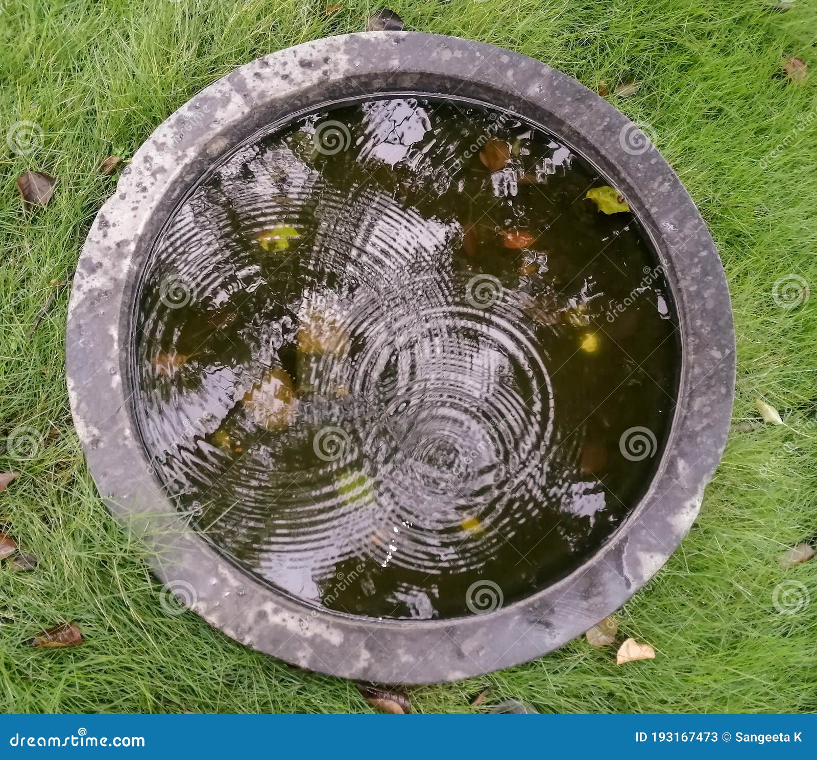 Circular Water Rings.beautiful Water Waves In Tank Royalty-Free Stock ...