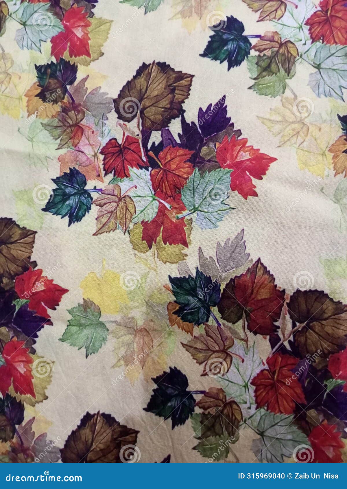 Cloth design. stock photo. Image of beauty, fashion - 315969040