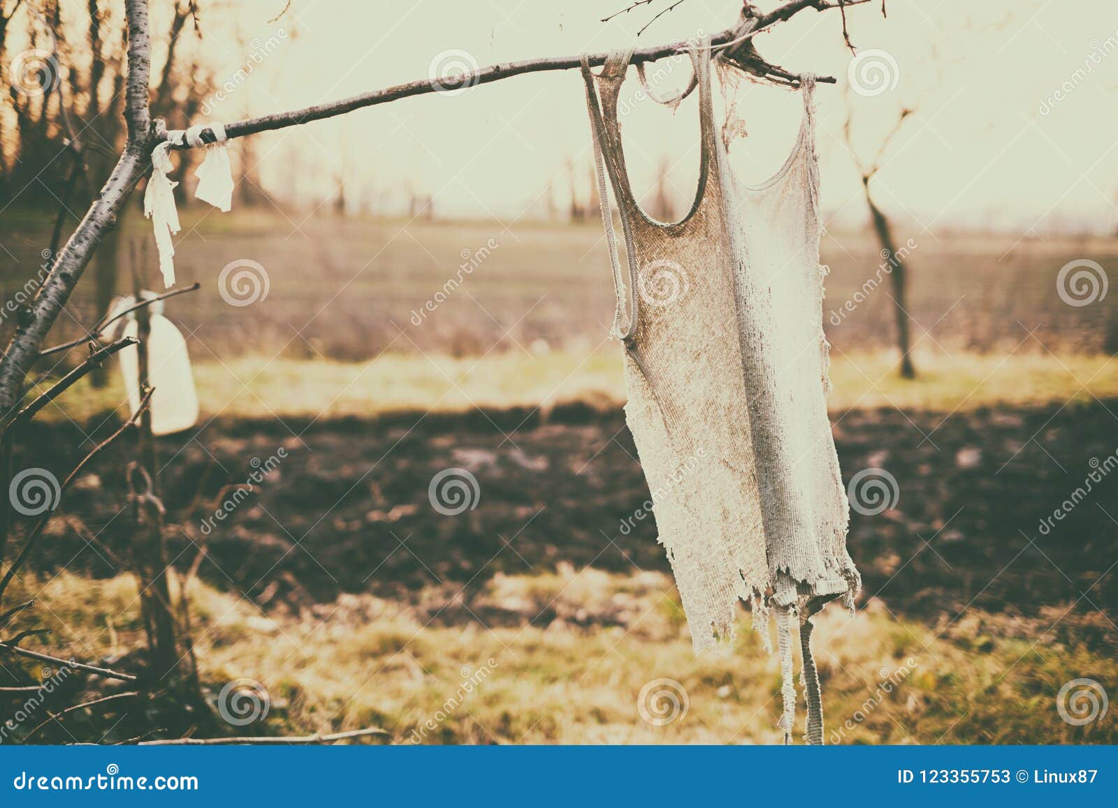 Cloth hanging on tree stock image. Image of hanging - 123355753