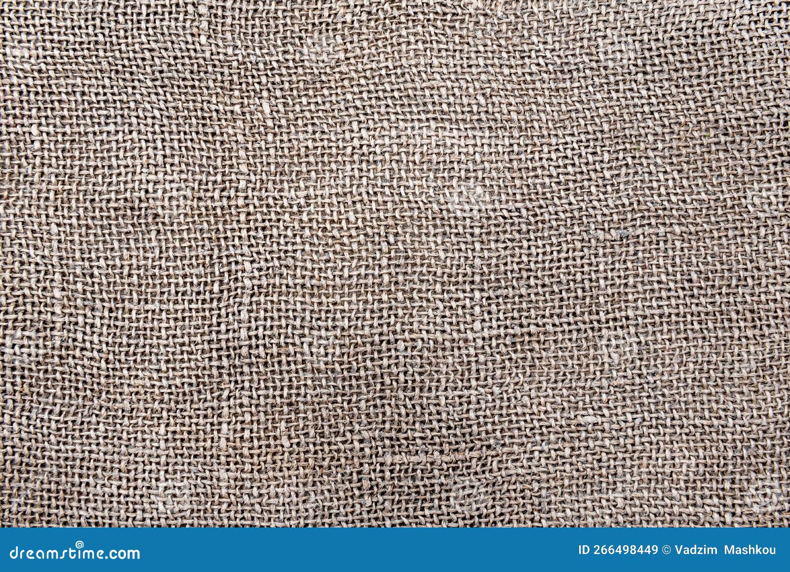 Cloth. the Texture of the Burlap Fabric is Close-up. Packaging Material ...