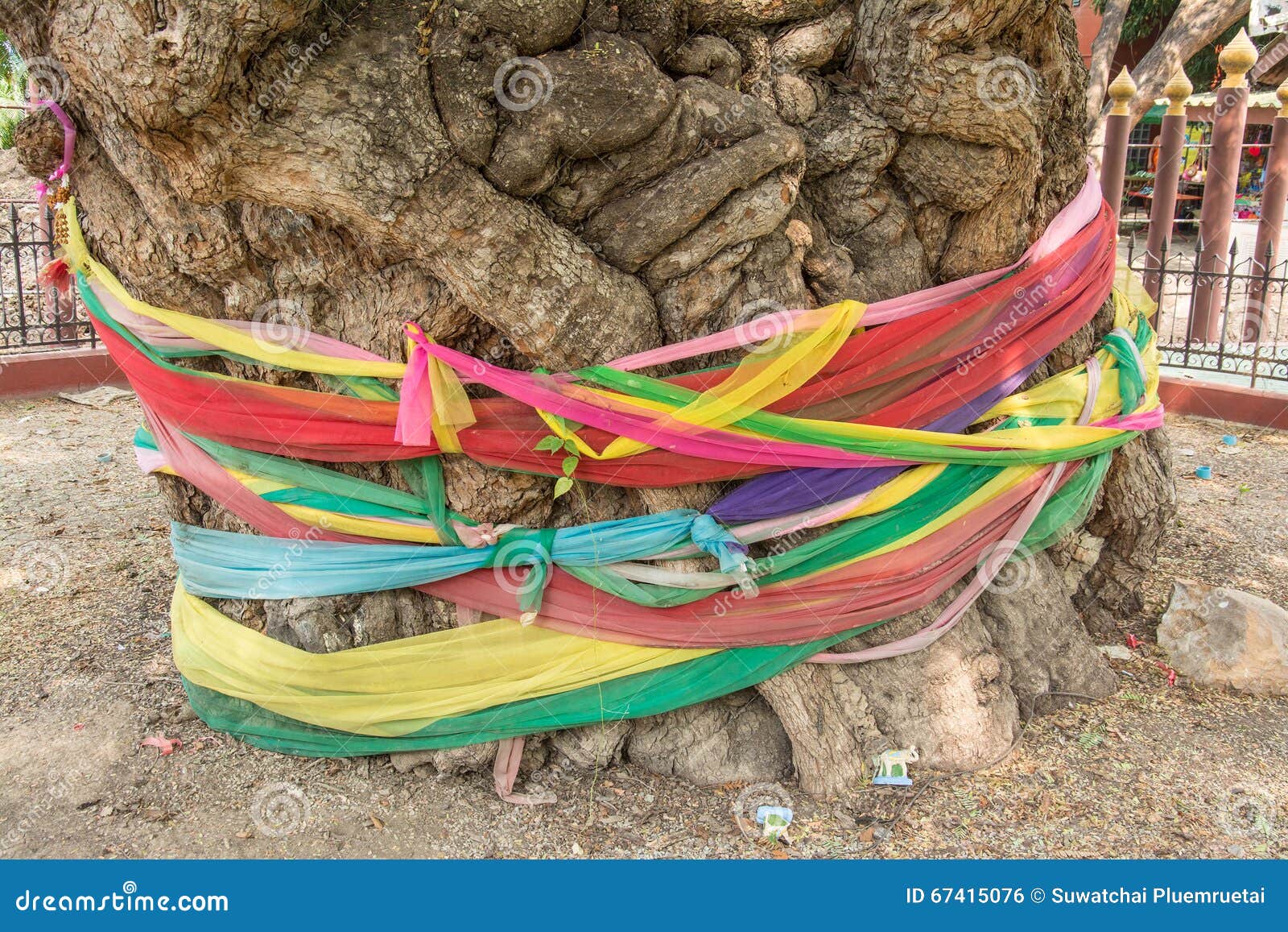 Cloth on Tree,thailand Faith Stock Photo - Image of orange, night: 67415076
