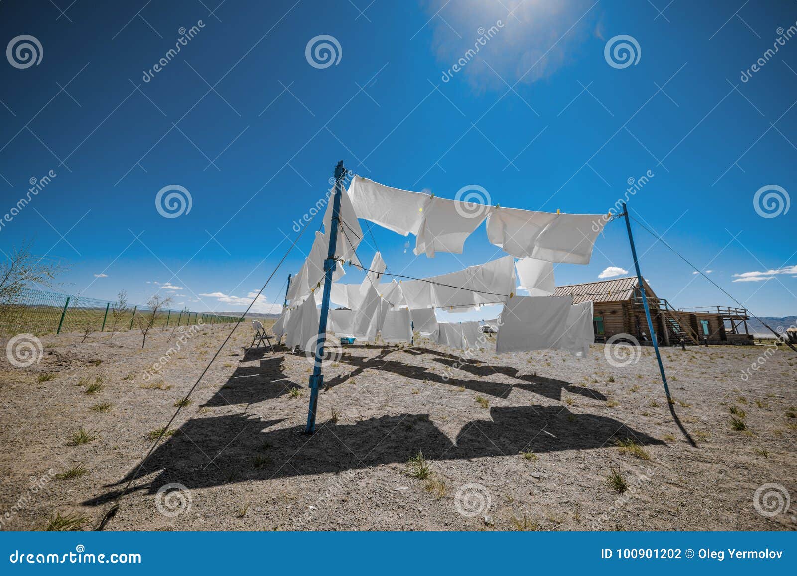 Clothes on Clotheslines in Field Stock Photo - Image of growing ...
