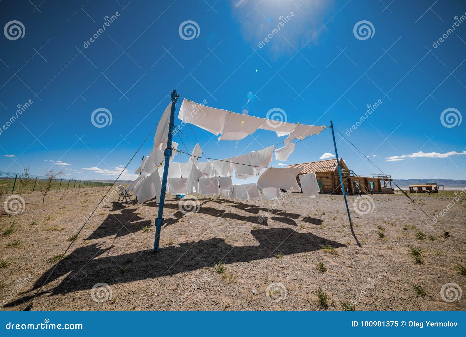 Clothes on Clotheslines in Field Stock Image - Image of growth, ecology ...